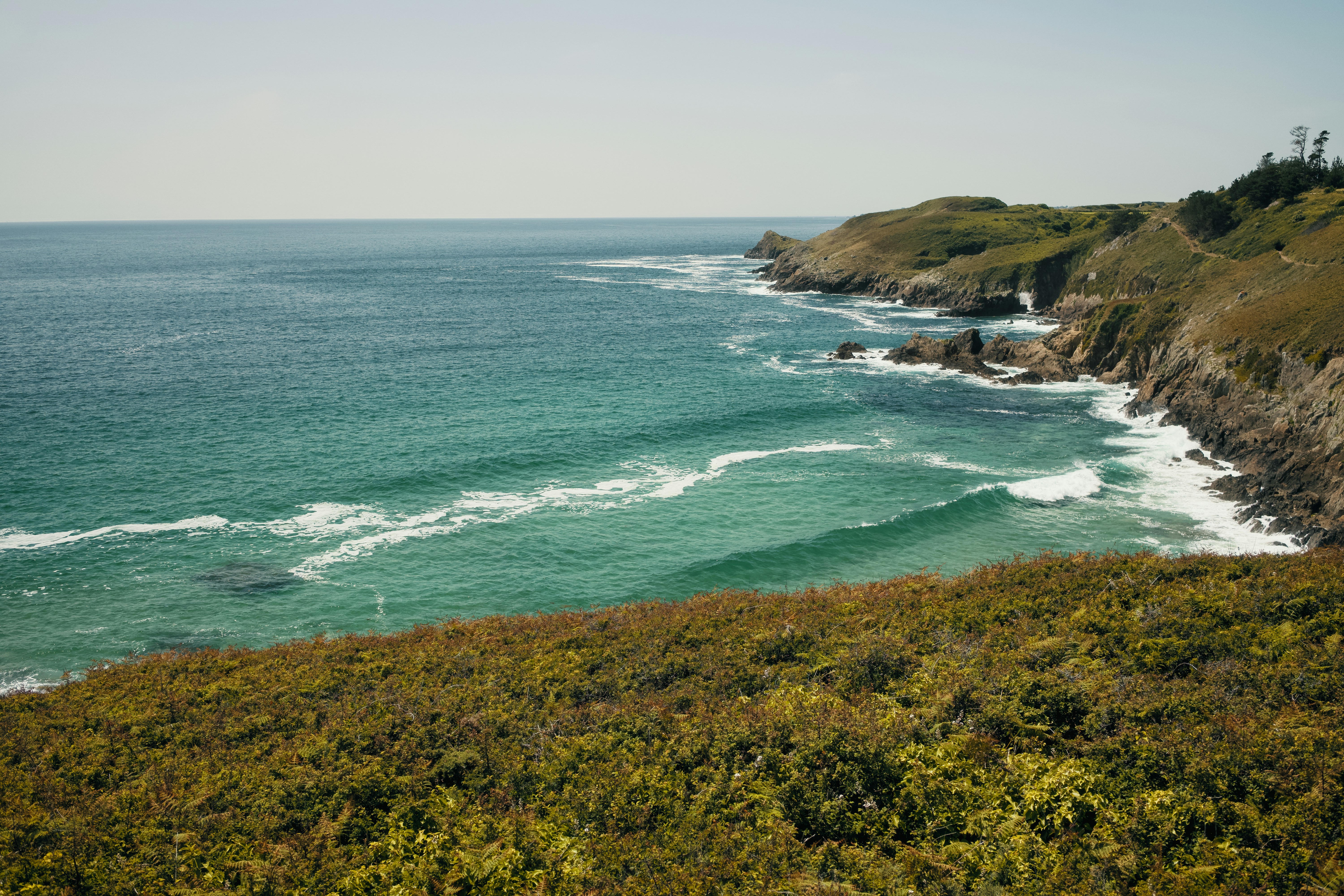 Cliffside Sea Vista: Golden Shrubs Meet Turquoise Waves