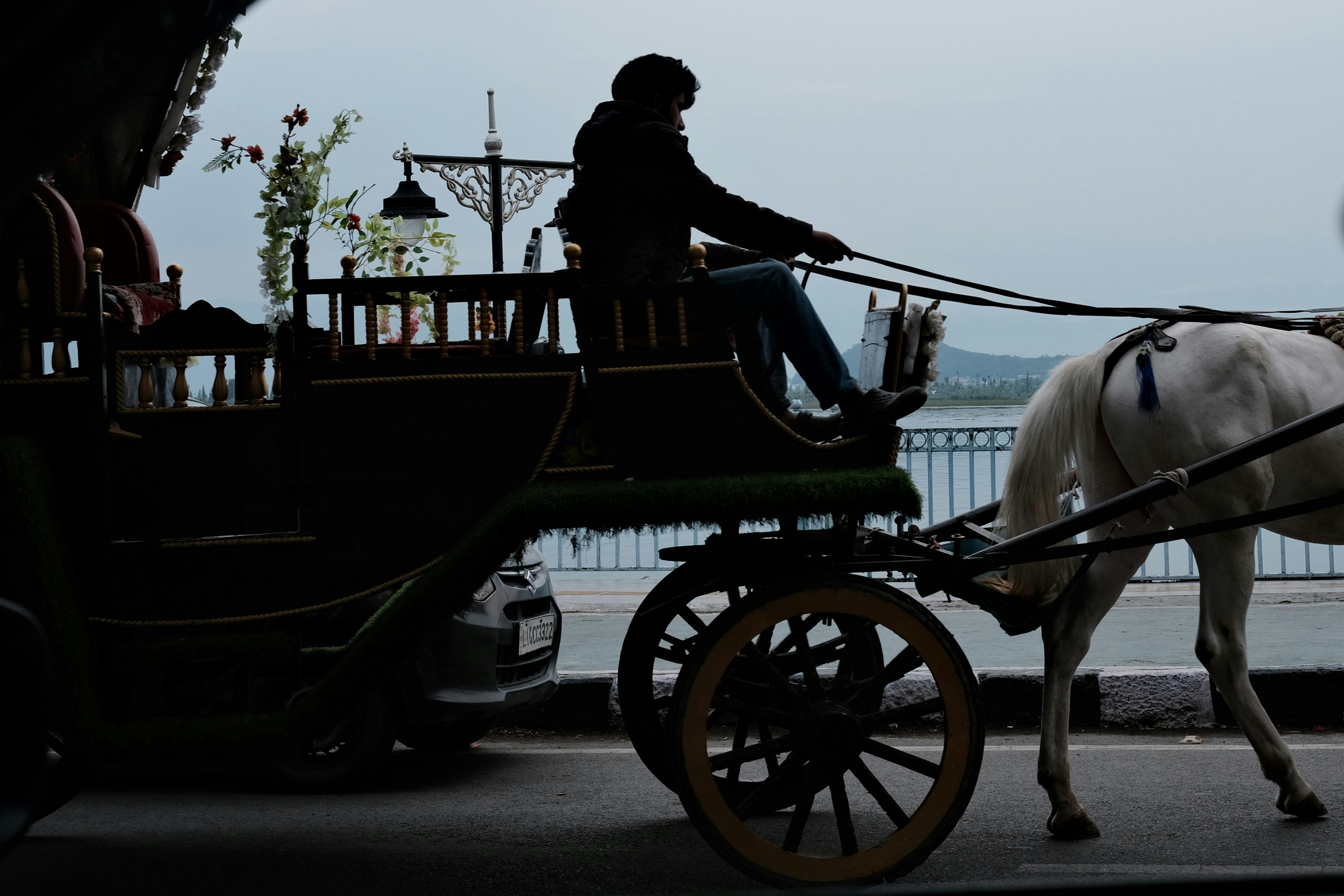 Silent Conductor: A Horse-Drawn Carriage at Dusk