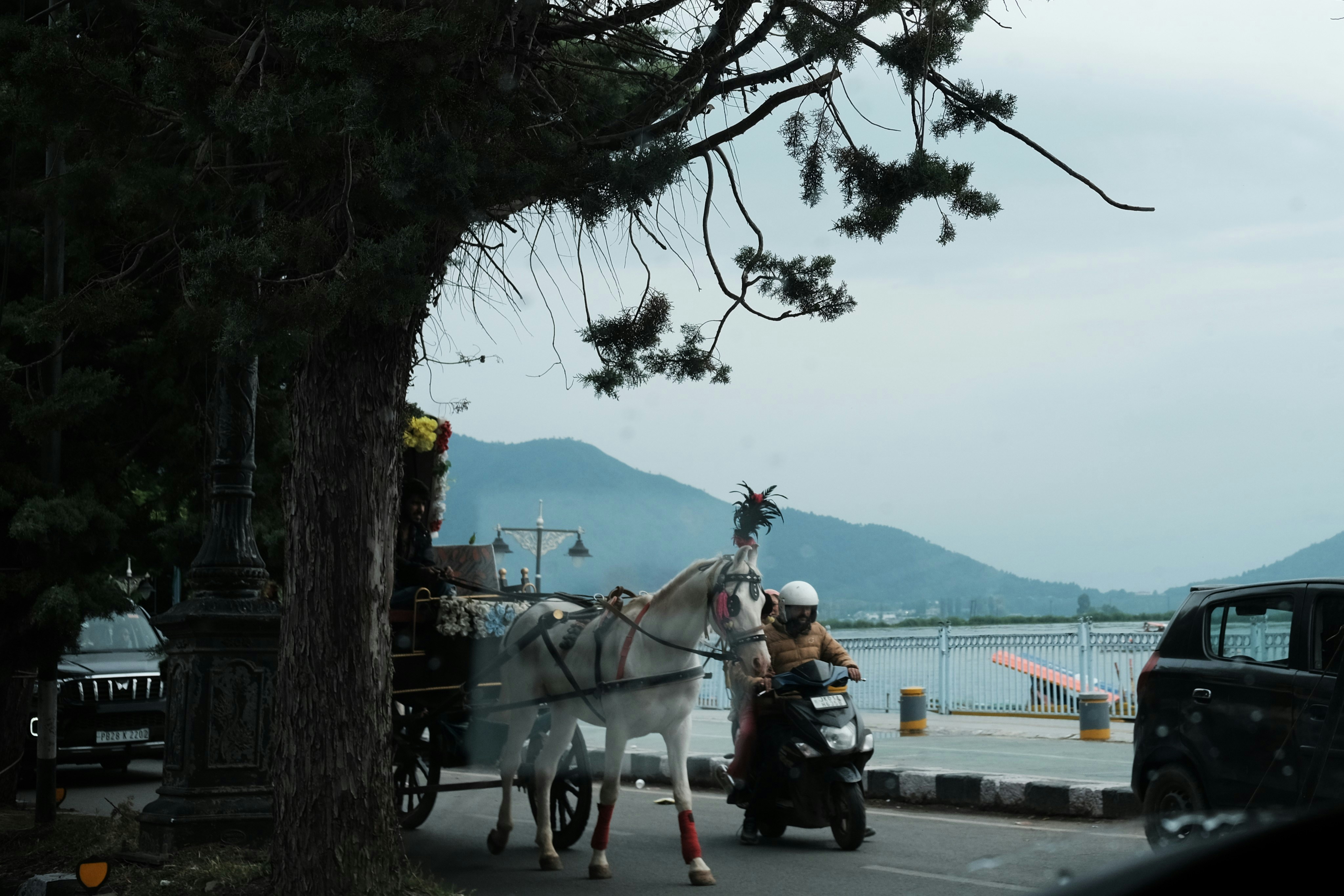 Equestrian Escort Along a Waterfront Road