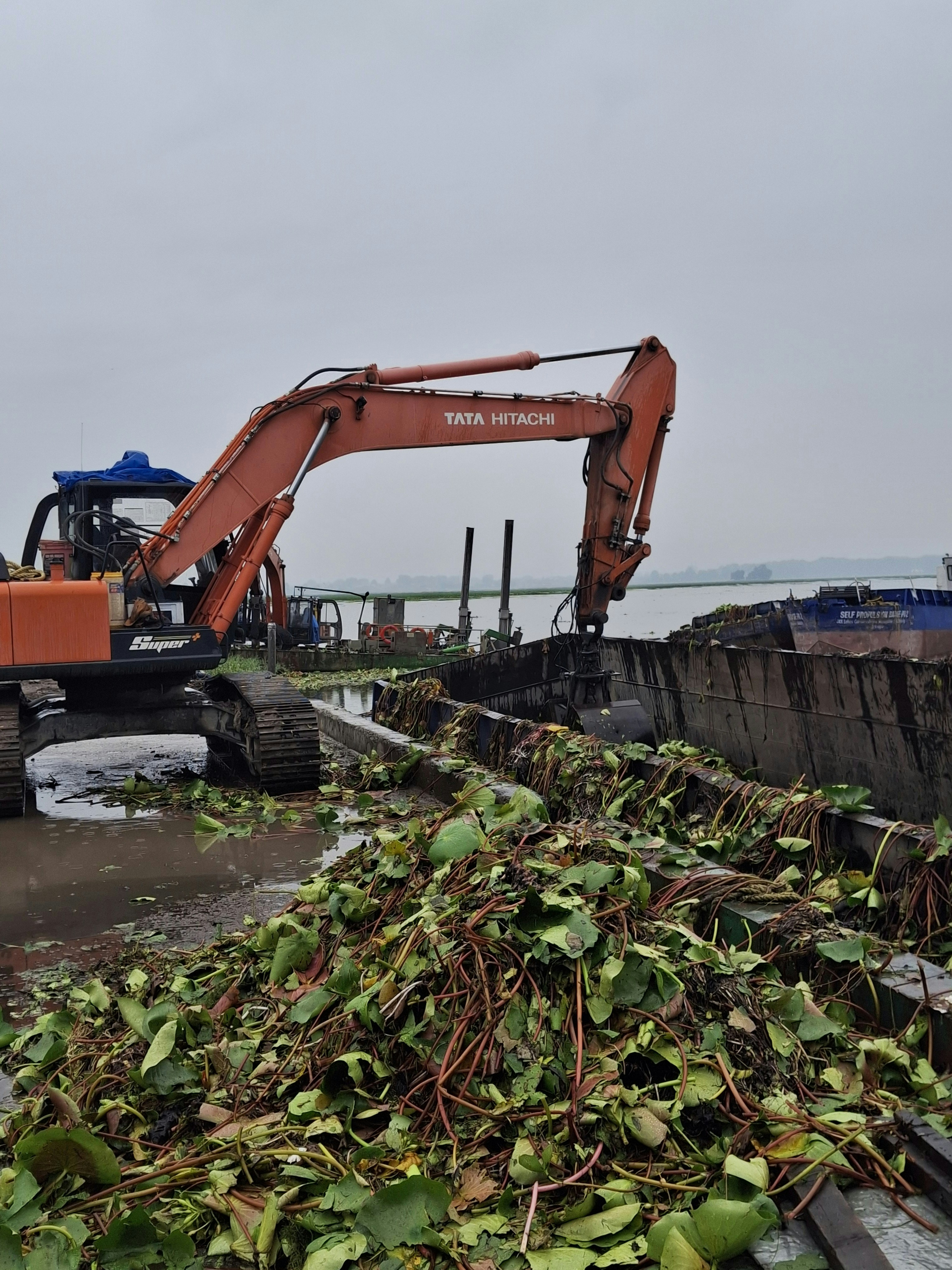 Crane at the Shore: Debris and Dredge by the Quiet Waterfront