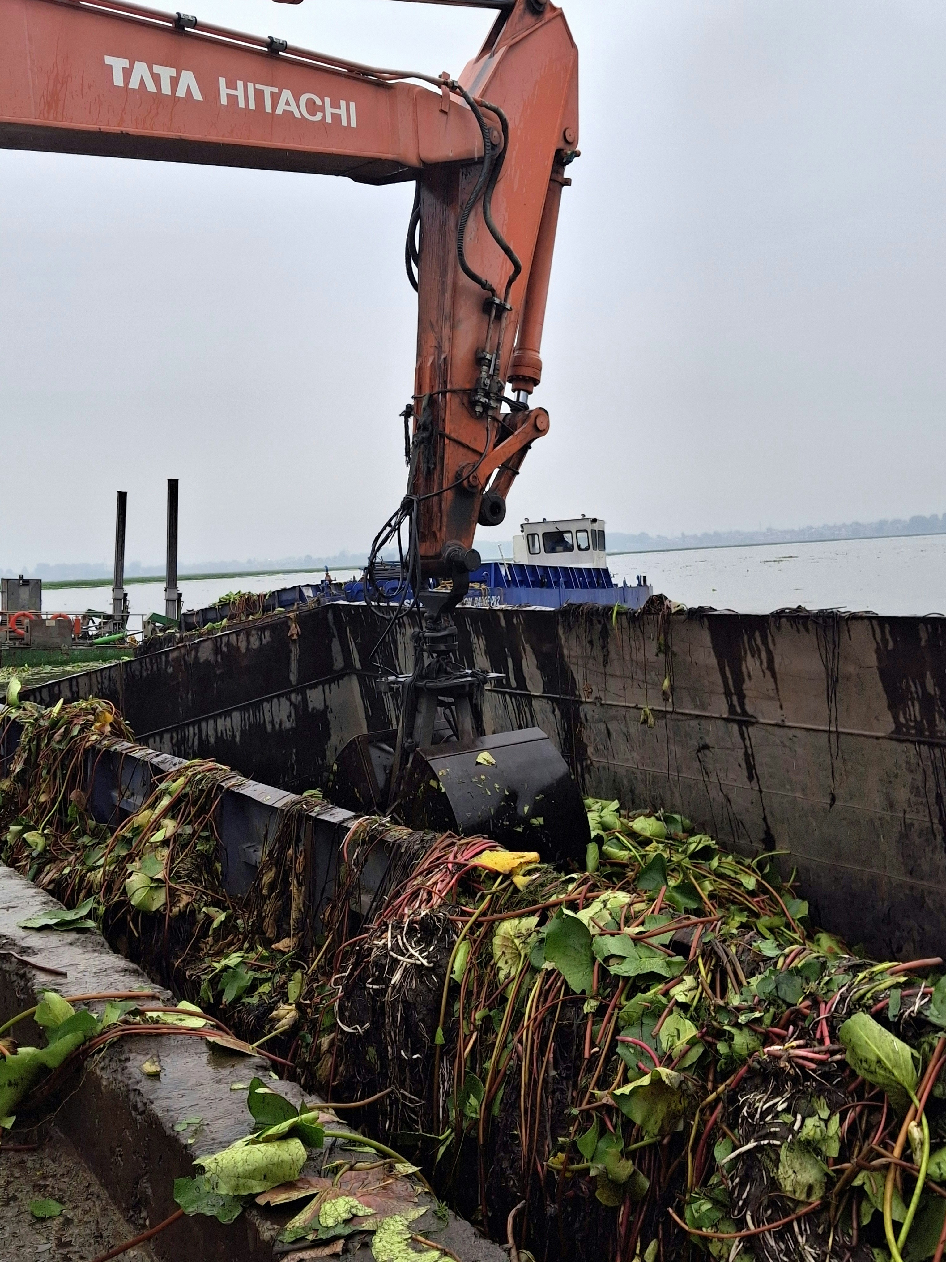 Construction excavator arm dominates the scene as it looms over a cluttered, plant-wrapped dock by the water, with a barge in the background. This is a photographed industrial port moment.
