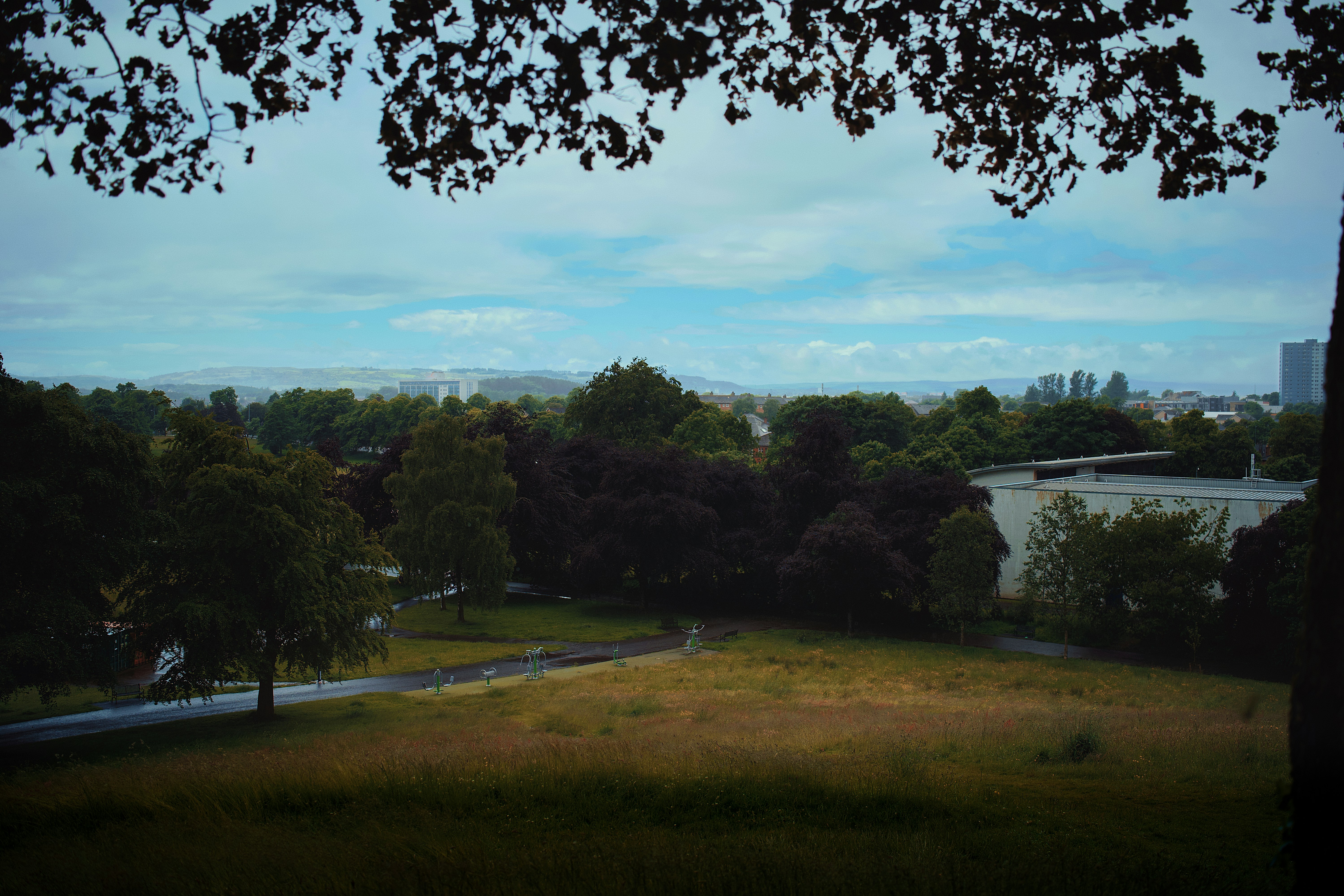 Overcast Ridge: A Quiet Park Under a Framed Canopy
