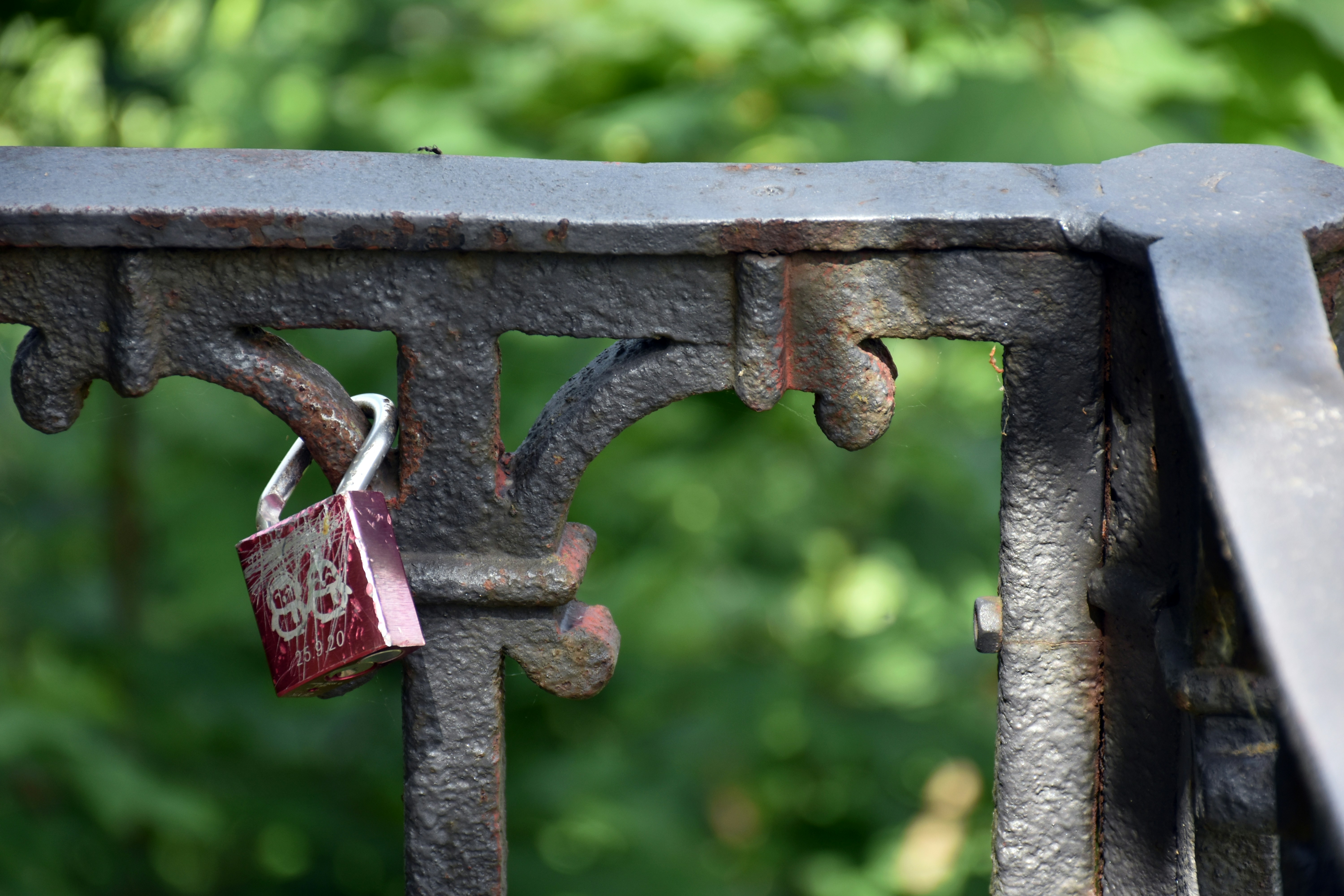 Lock on a Weathered Gate: A Rusted Shield of Quiet Secrets