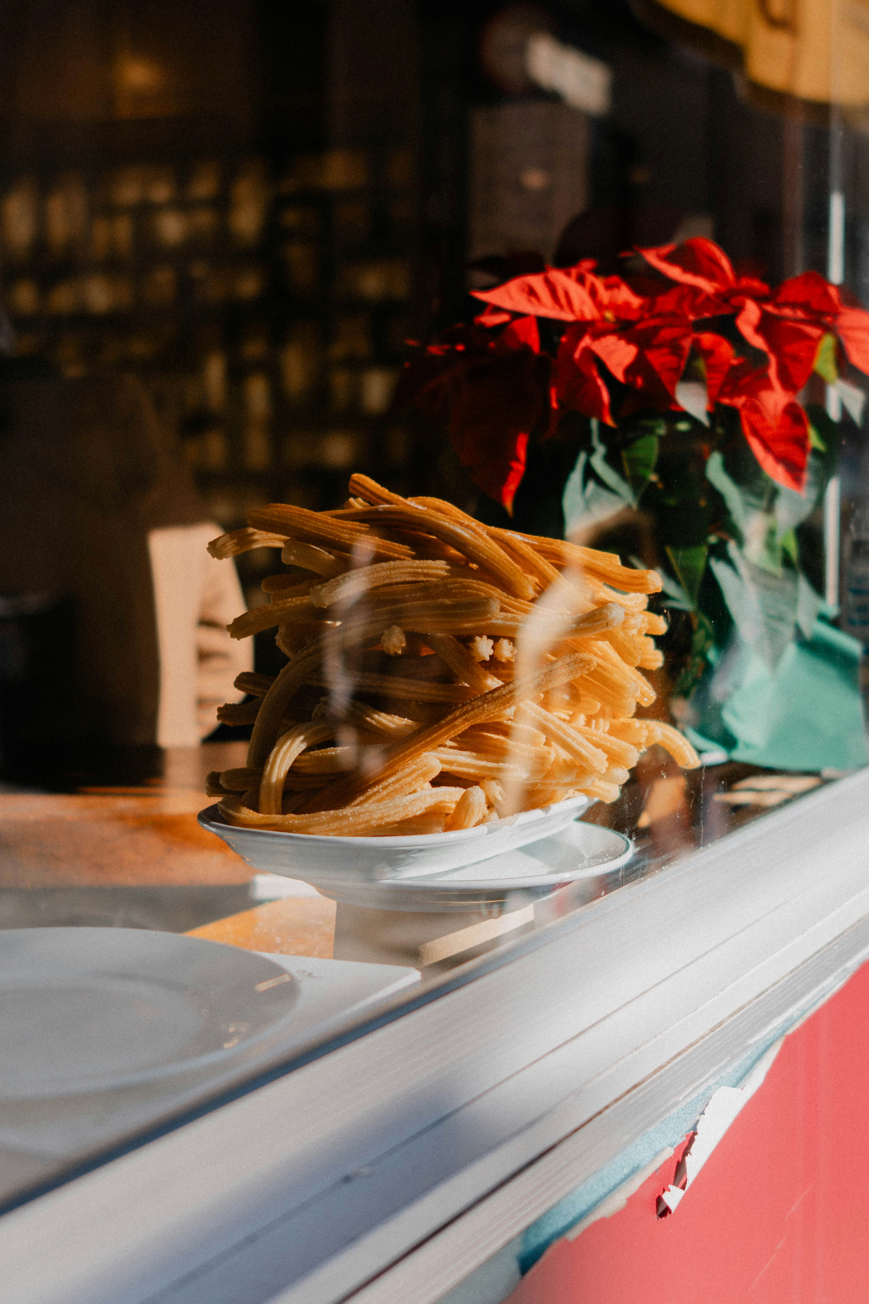 Curved Noodles on a Window Sill under Poinsettias