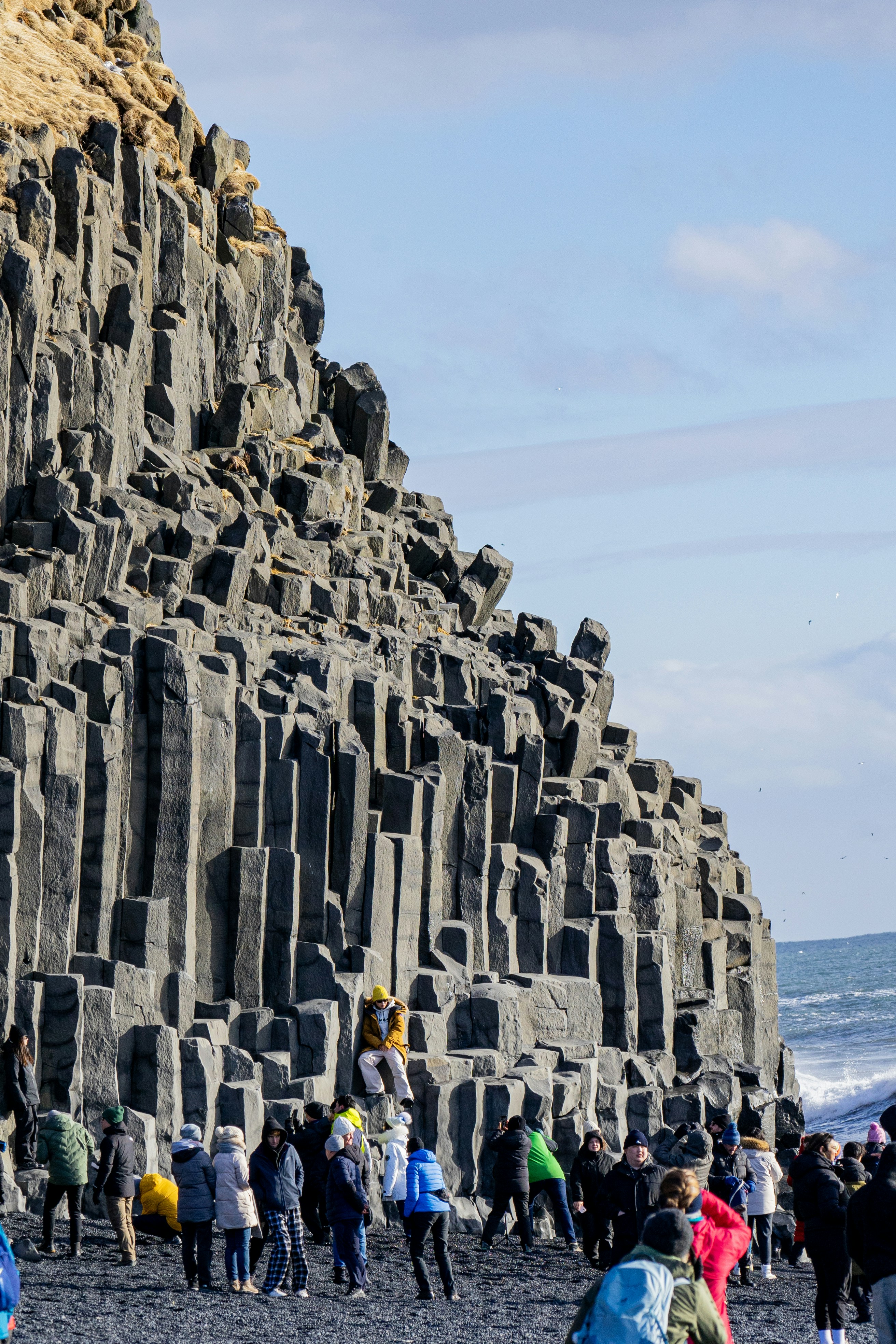 Basalt Steps and a Cast of Coastal Visitors