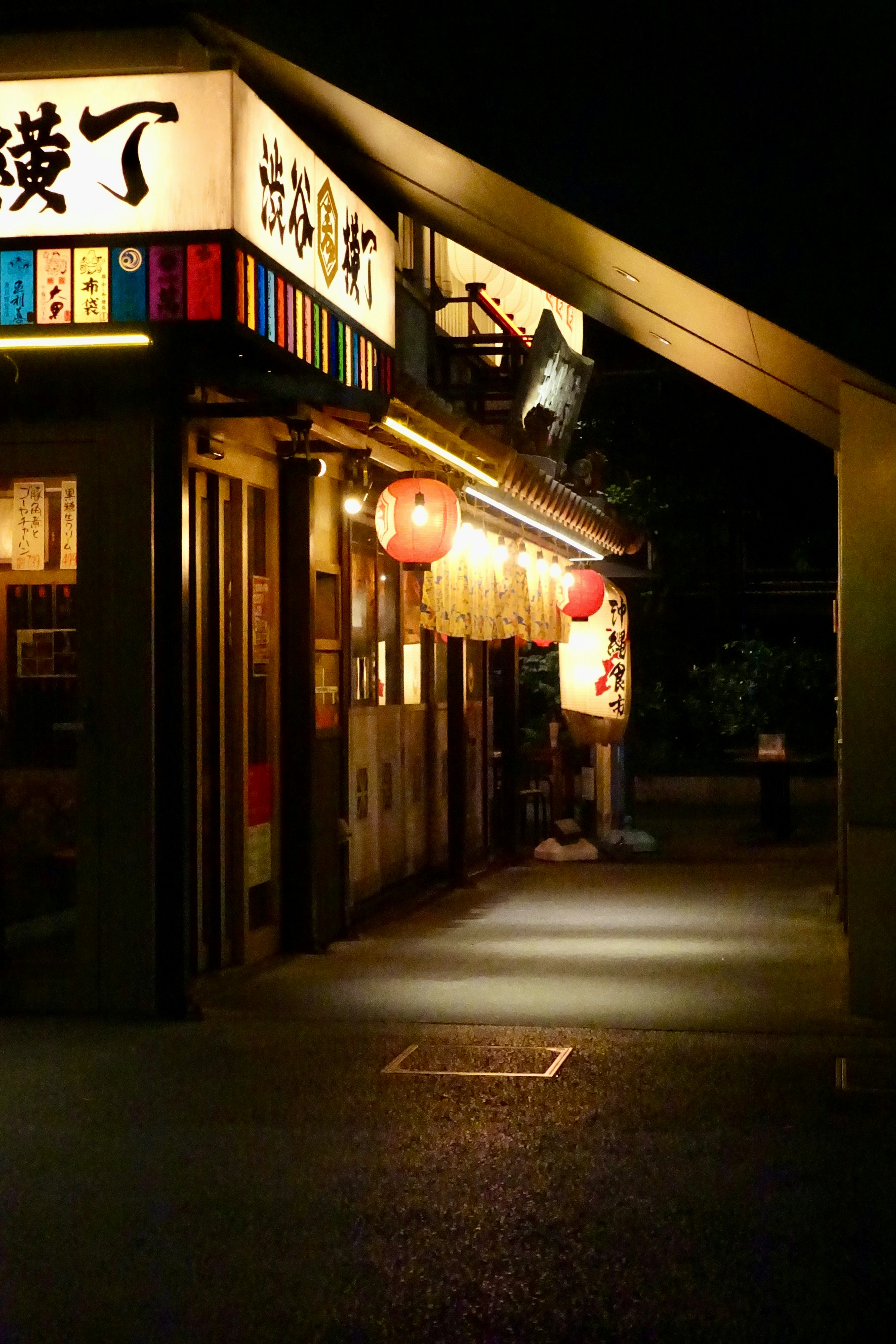 Lantern-lit Alleyway with Traditional Japanese Facade