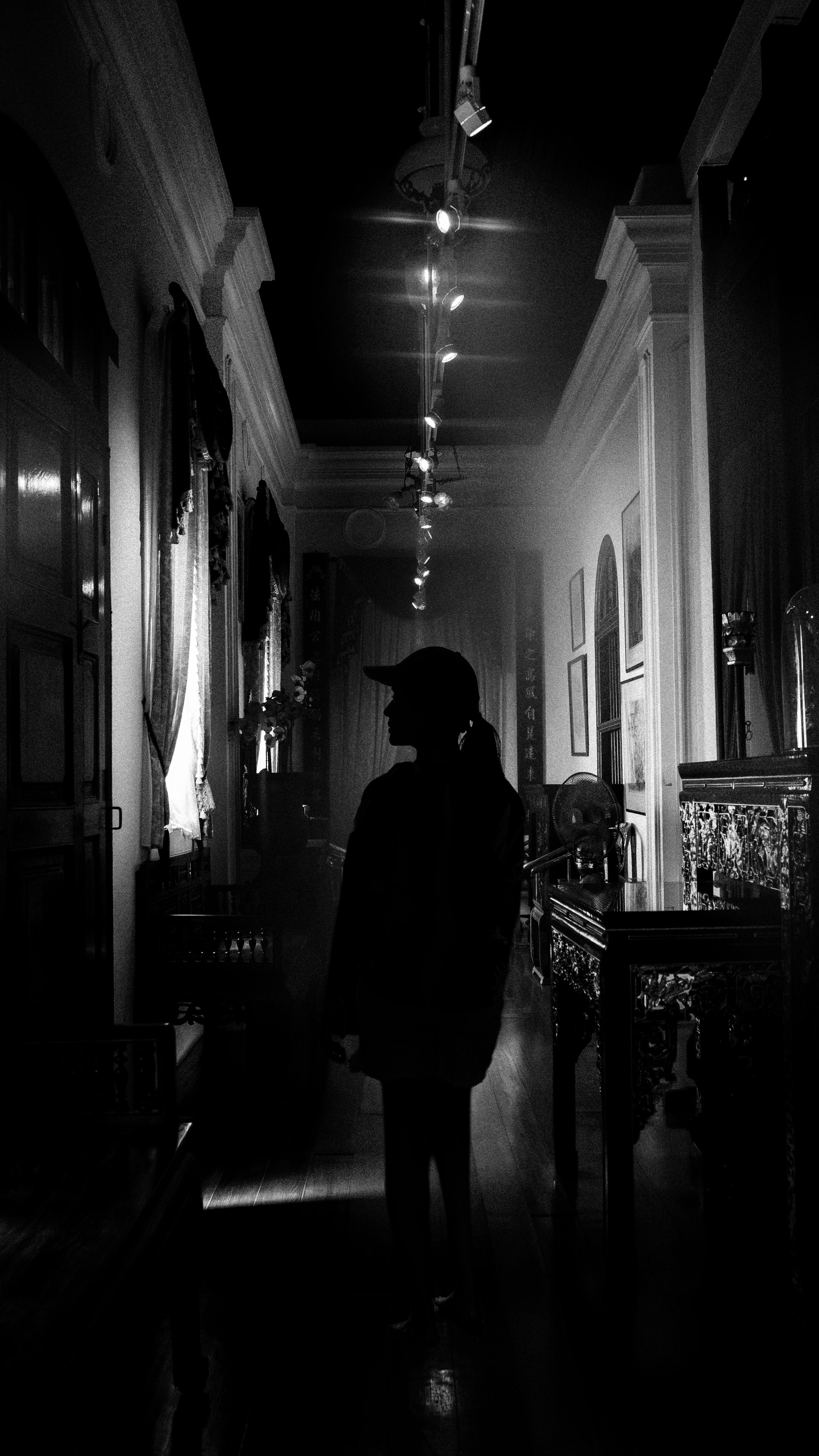 A lone silhouette stands in a dimly lit, museum-like corridor with ornate furnishings and track lighting, captured in black and white. The scene emphasizes mood and hush, suggesting a quiet moment inside an interior gallery space.