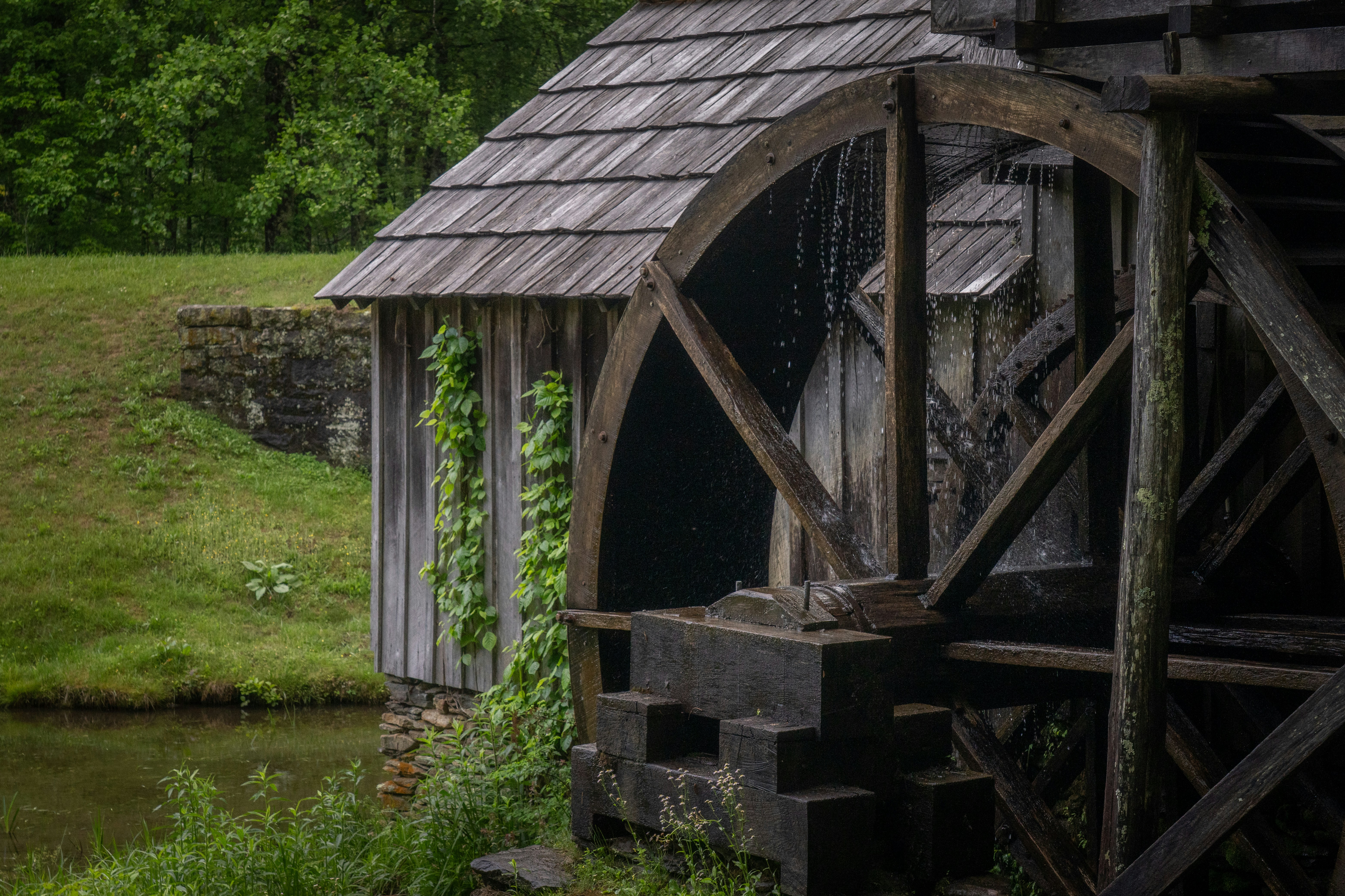 The Waterwheel’s Quiet Pulse