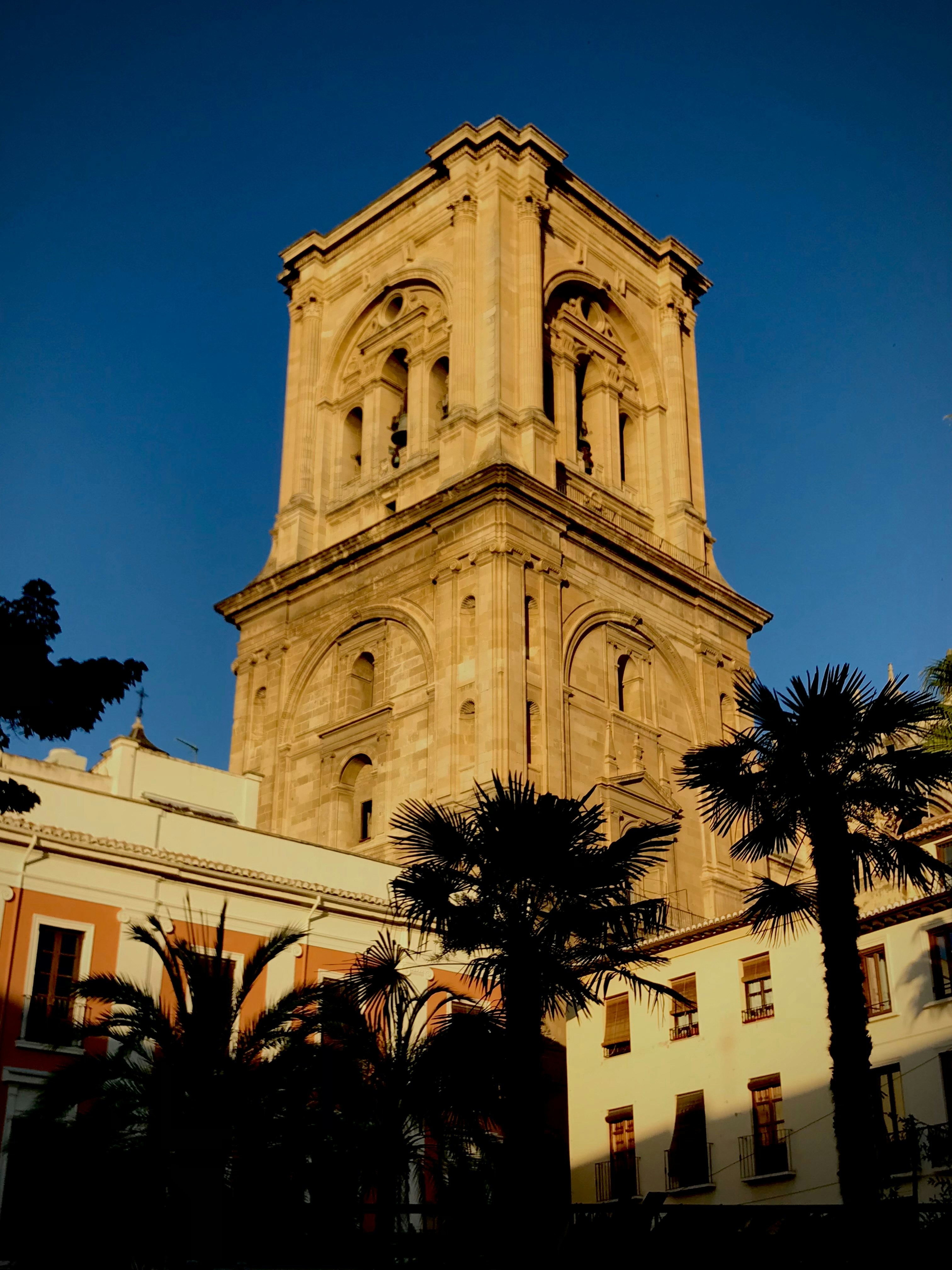 Tower Rising Above Palm Shadows at Golden Hour