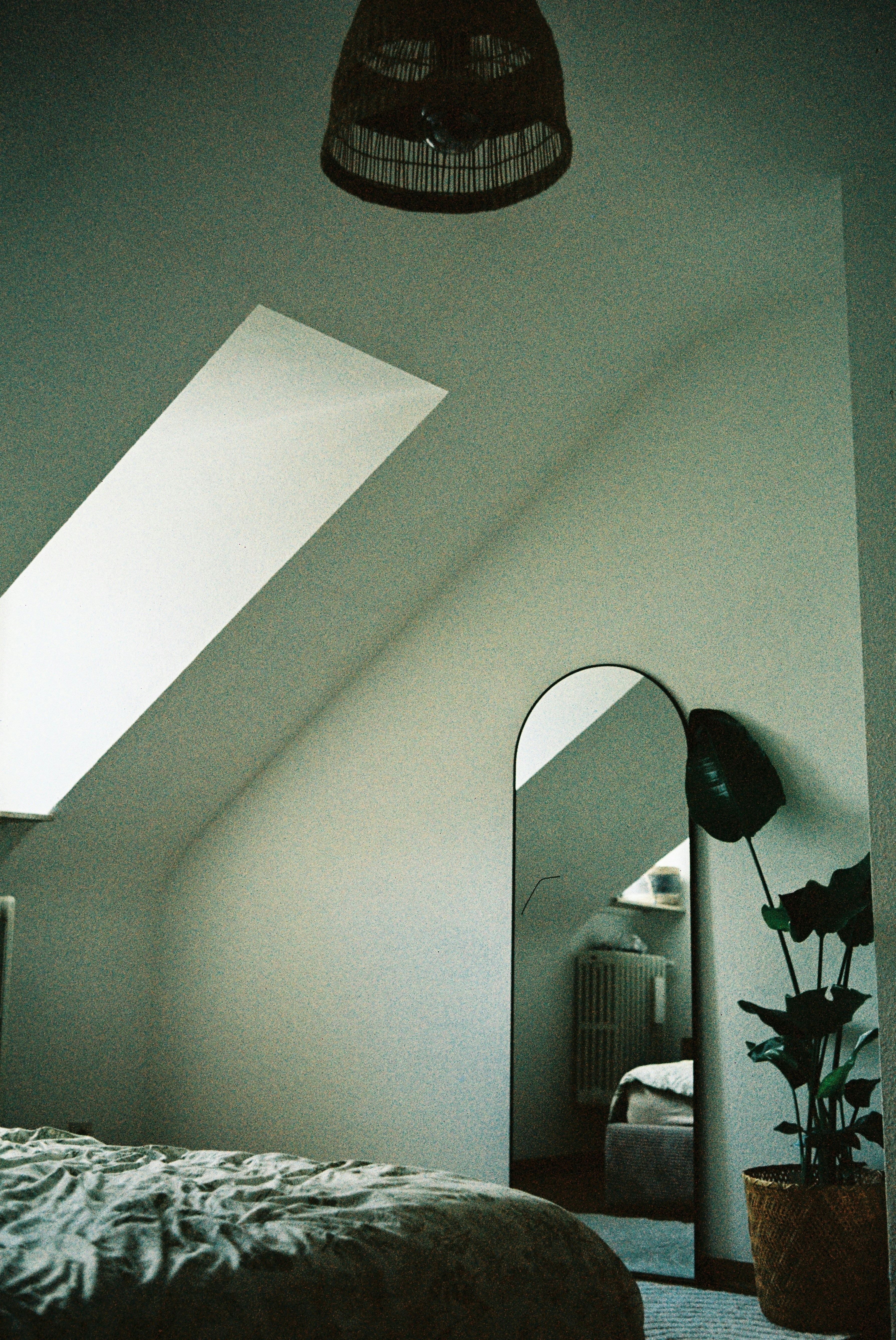 Tilted Sliver of Light: A Quiet Corner with a Mirror and Plant