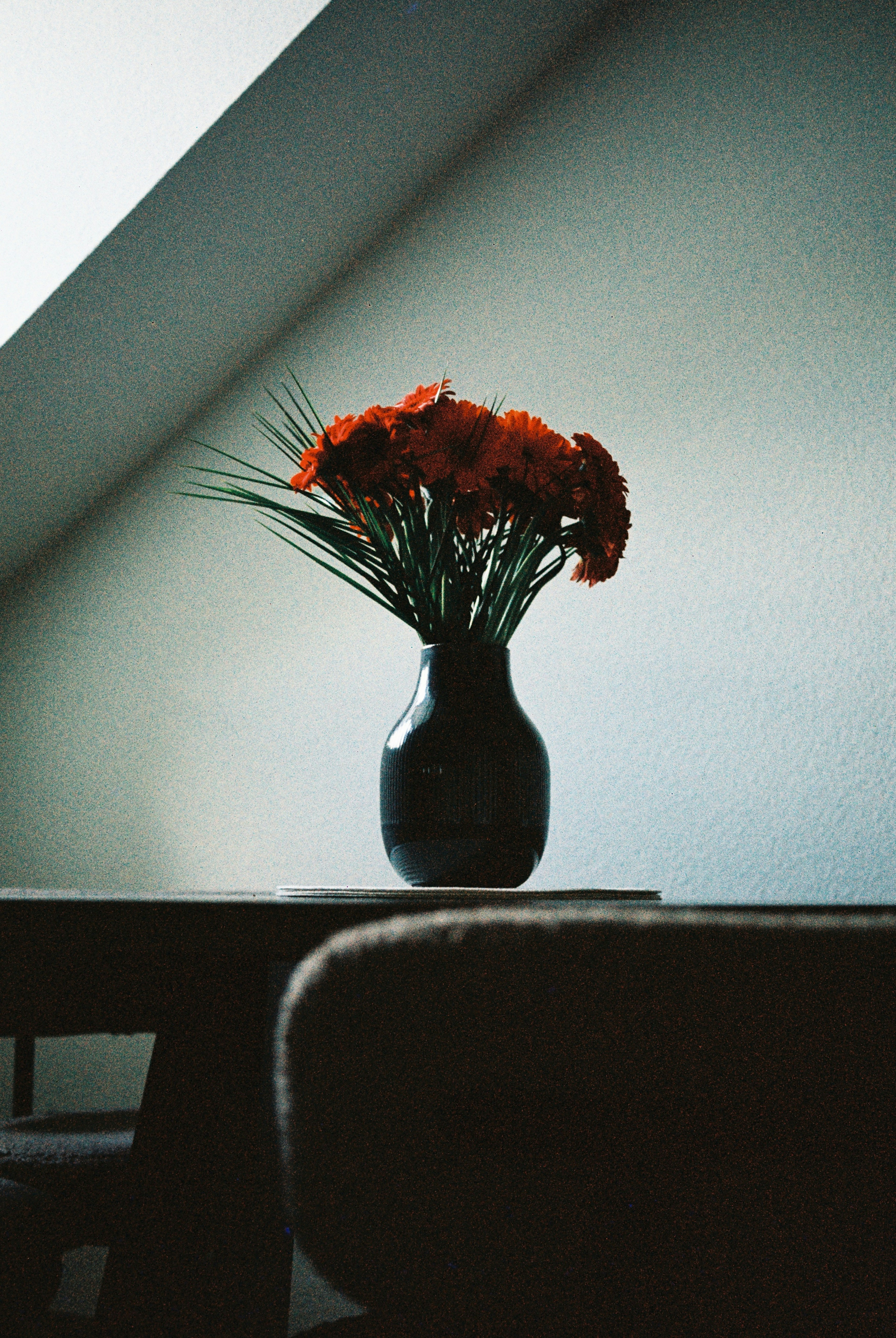 Crimson Blooms in a Quiet Corner
