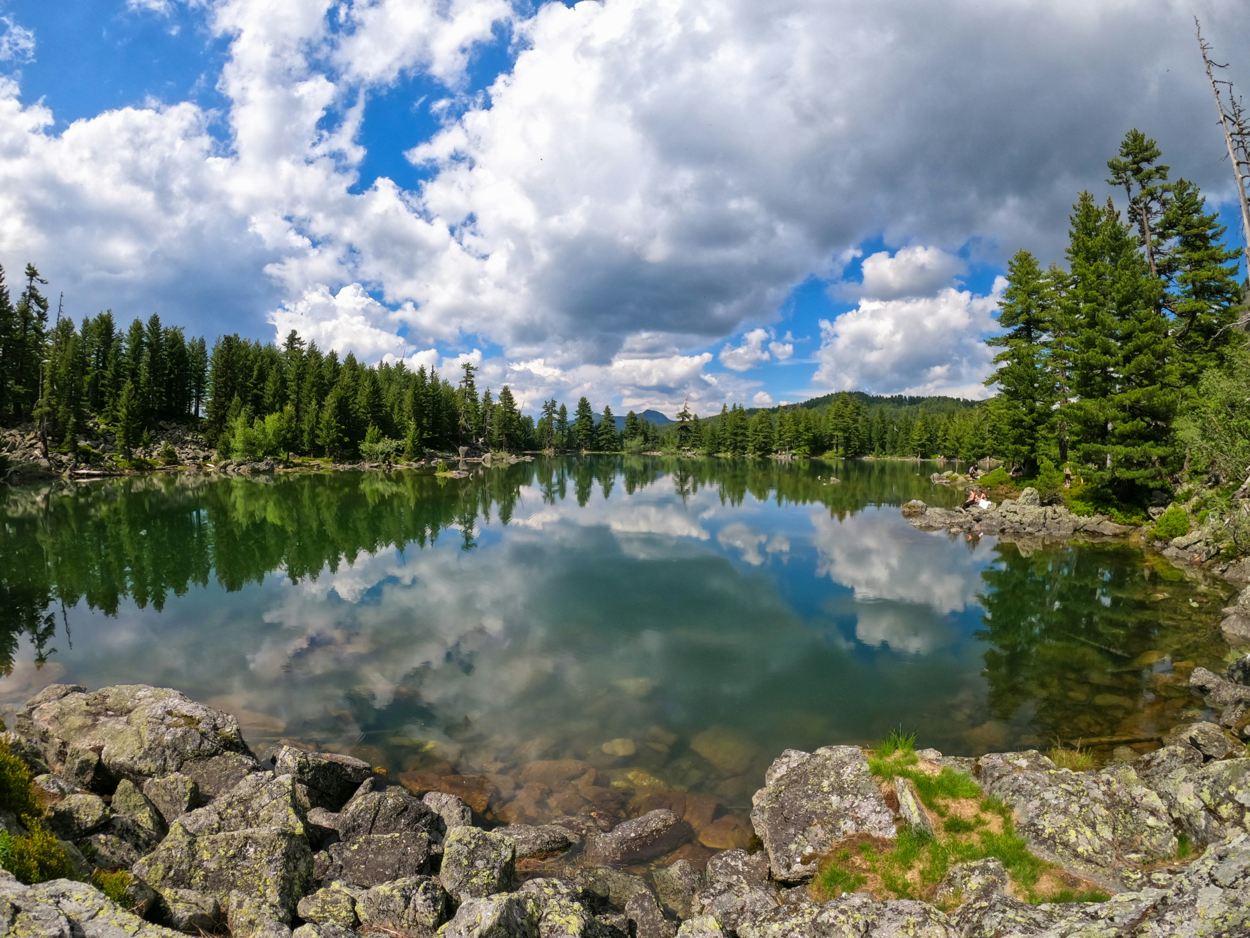 Clear mountain lake mirrors the sky and pines, framed by rocky shoreline. A tranquil landscape highlighting crisp reflections and alpine terrain.