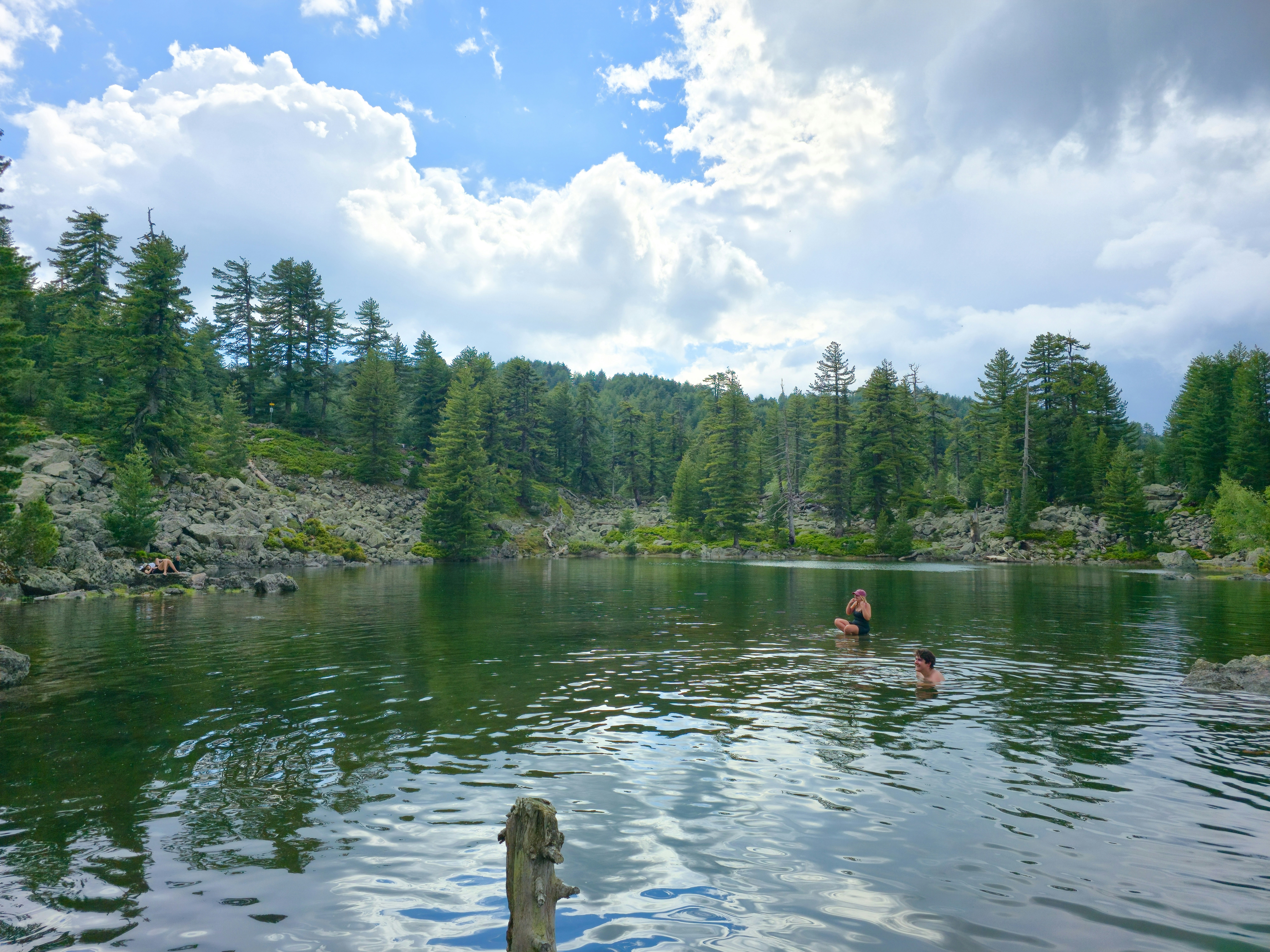 Canoe-free Lake: A Quiet Glade Among Pines