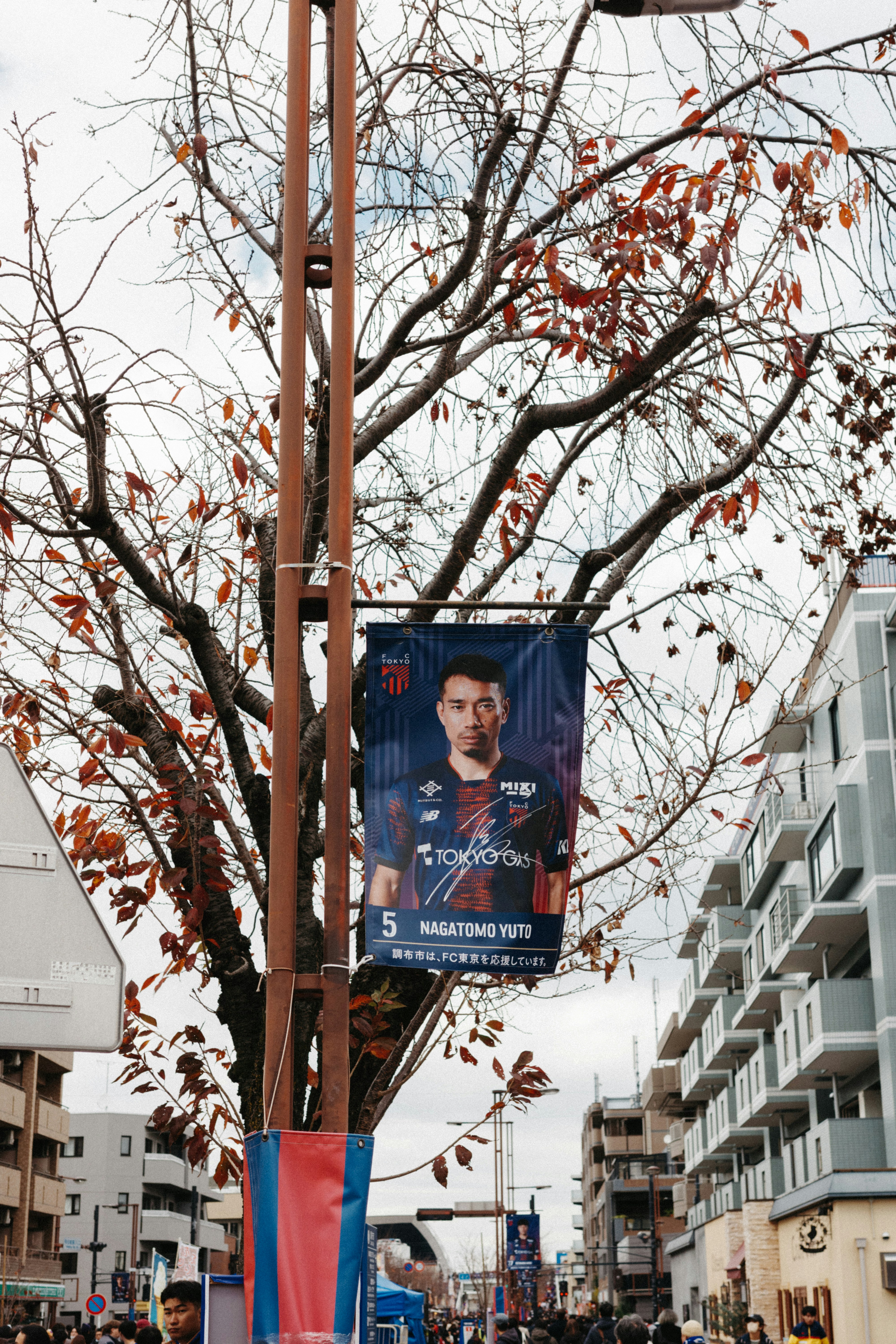 Banner Portrait on a City Street: A Vast Tree Framing a Promotional Poster