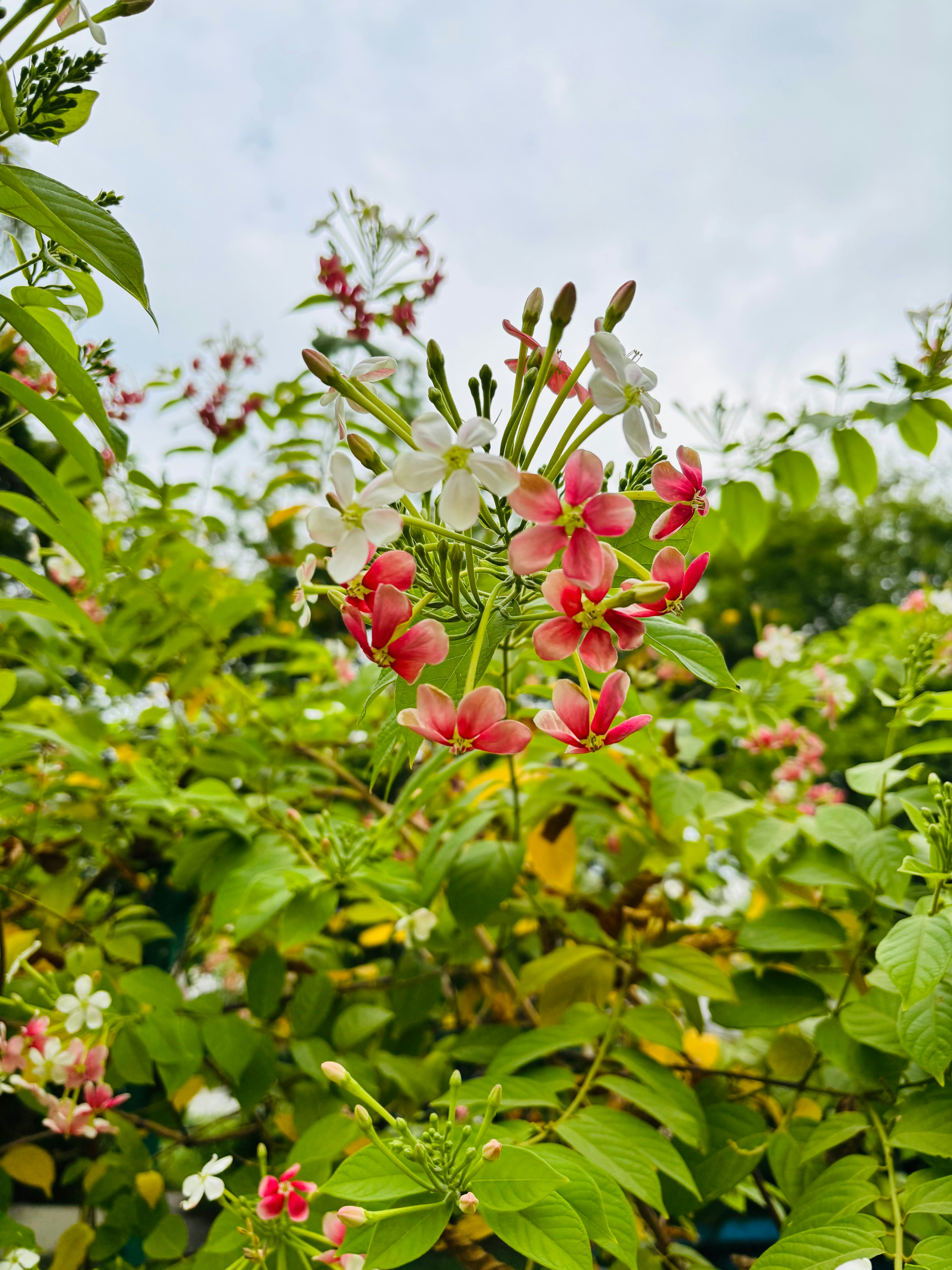 Photo by Ayesha Khan with Apple iPhone 15