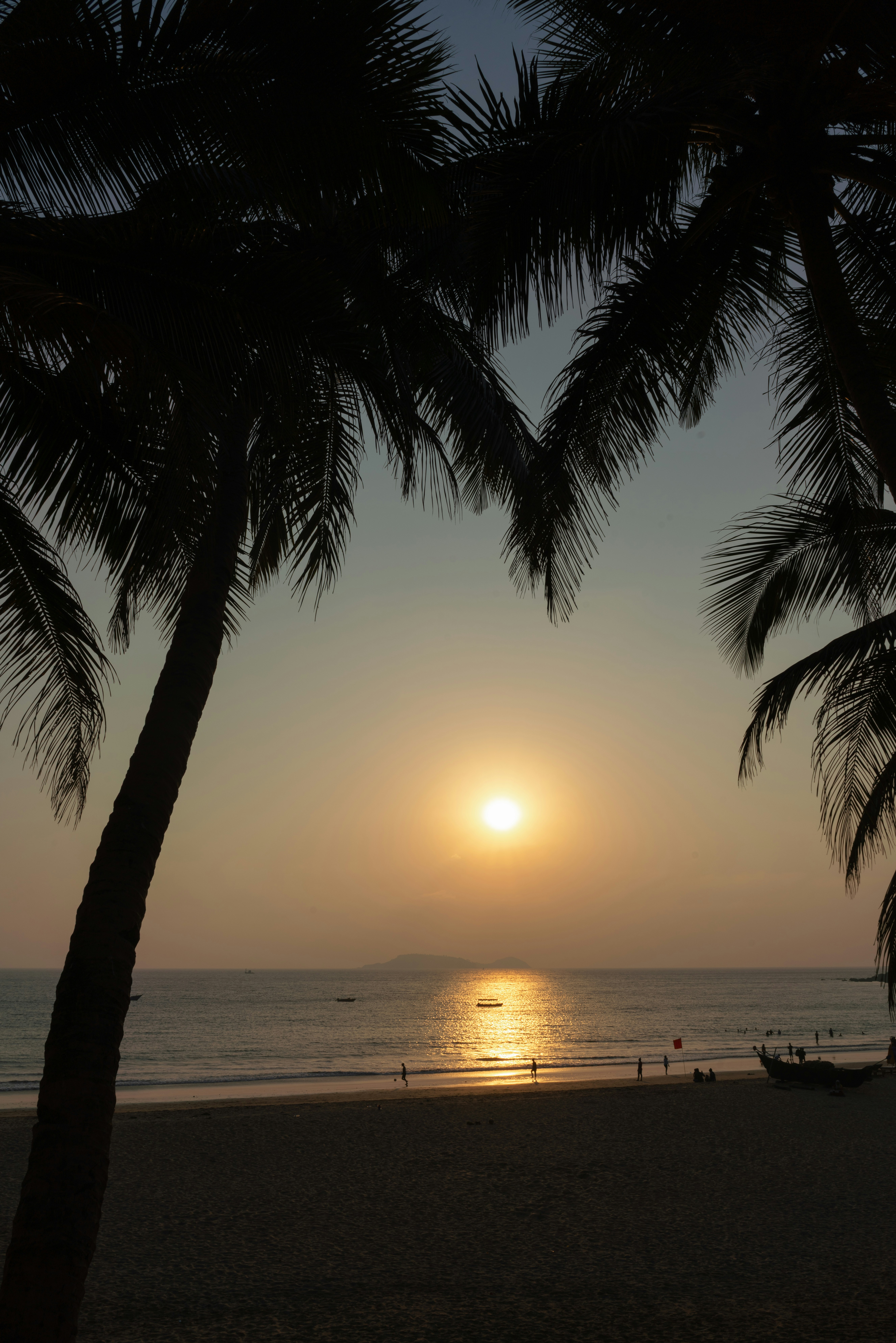 Sunset Palm Reverie on a Quiet Beach