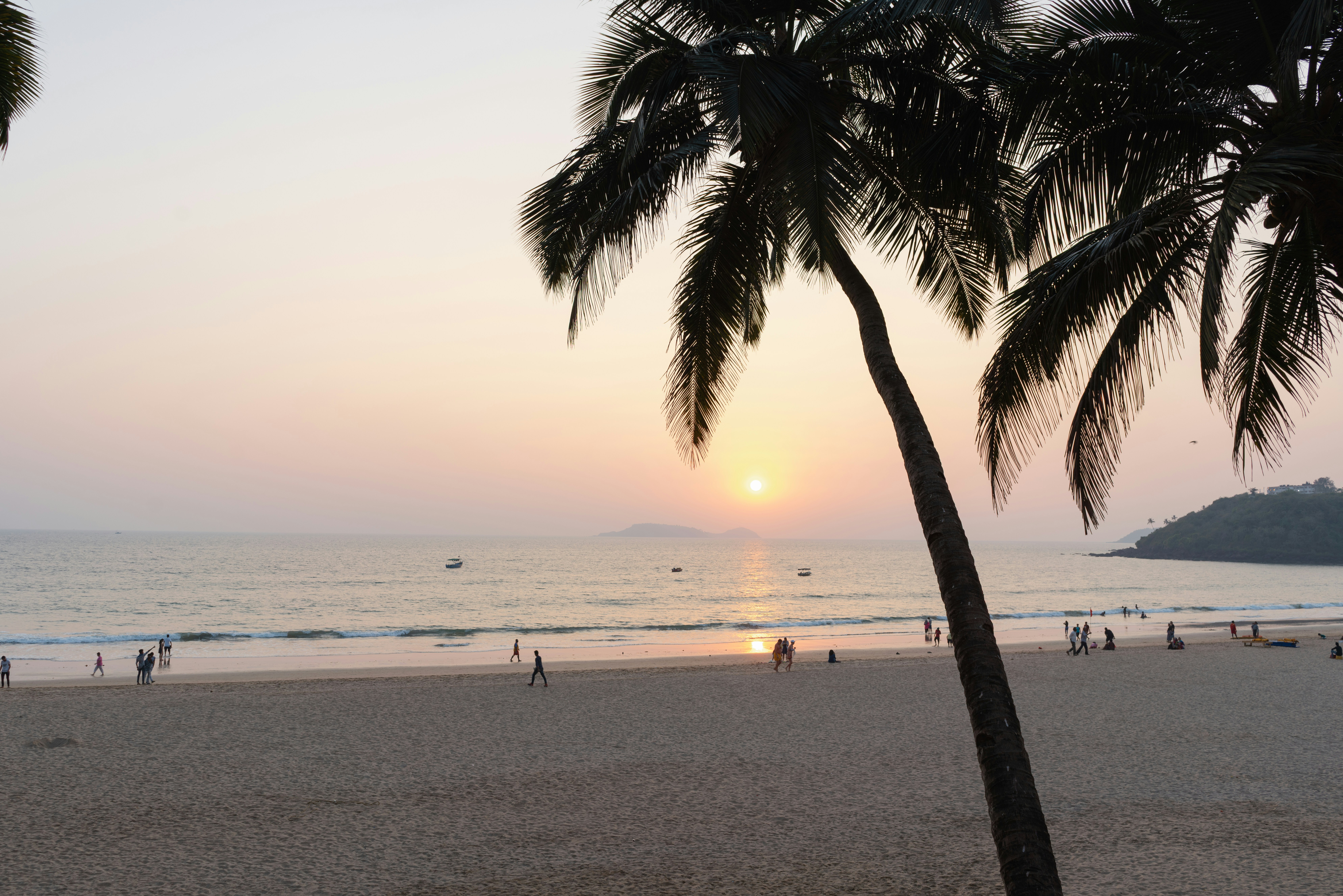 Sunset Silhouette: A Palm-Fringed Beach at Dusk