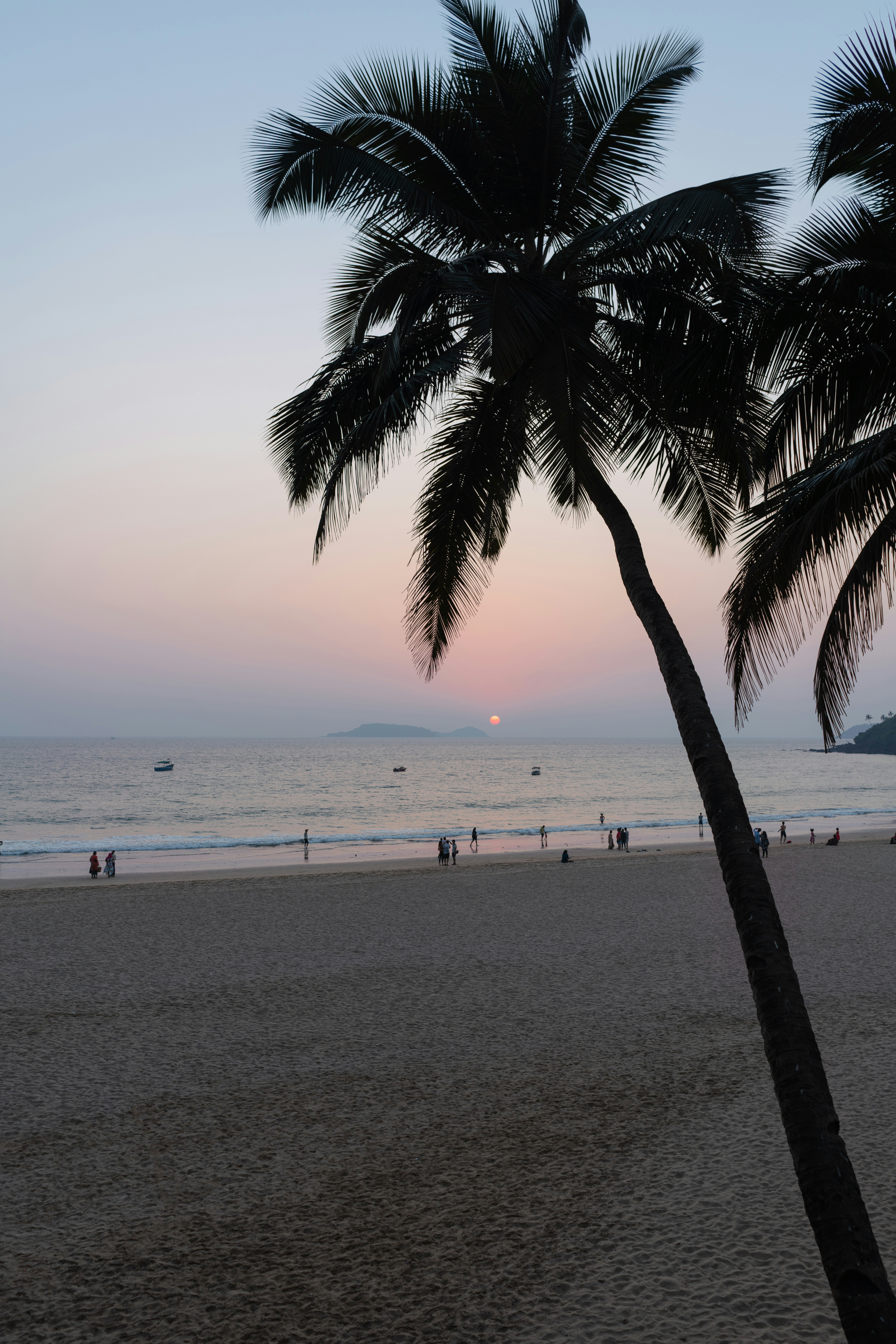 Palm Shadows and Sunset Over Quiet Shore