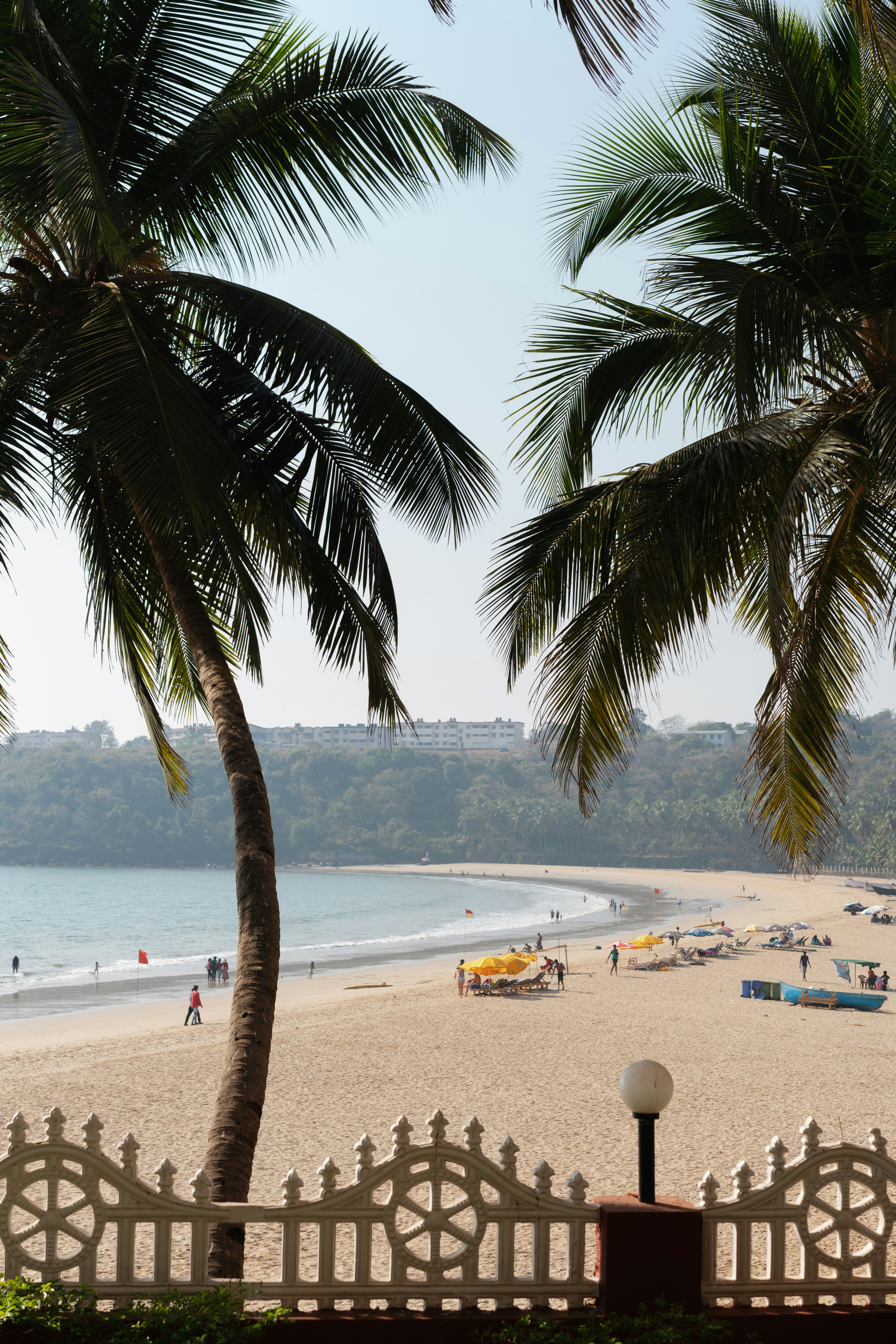 Palm-Fringed Beach Through an Ornamental Fence