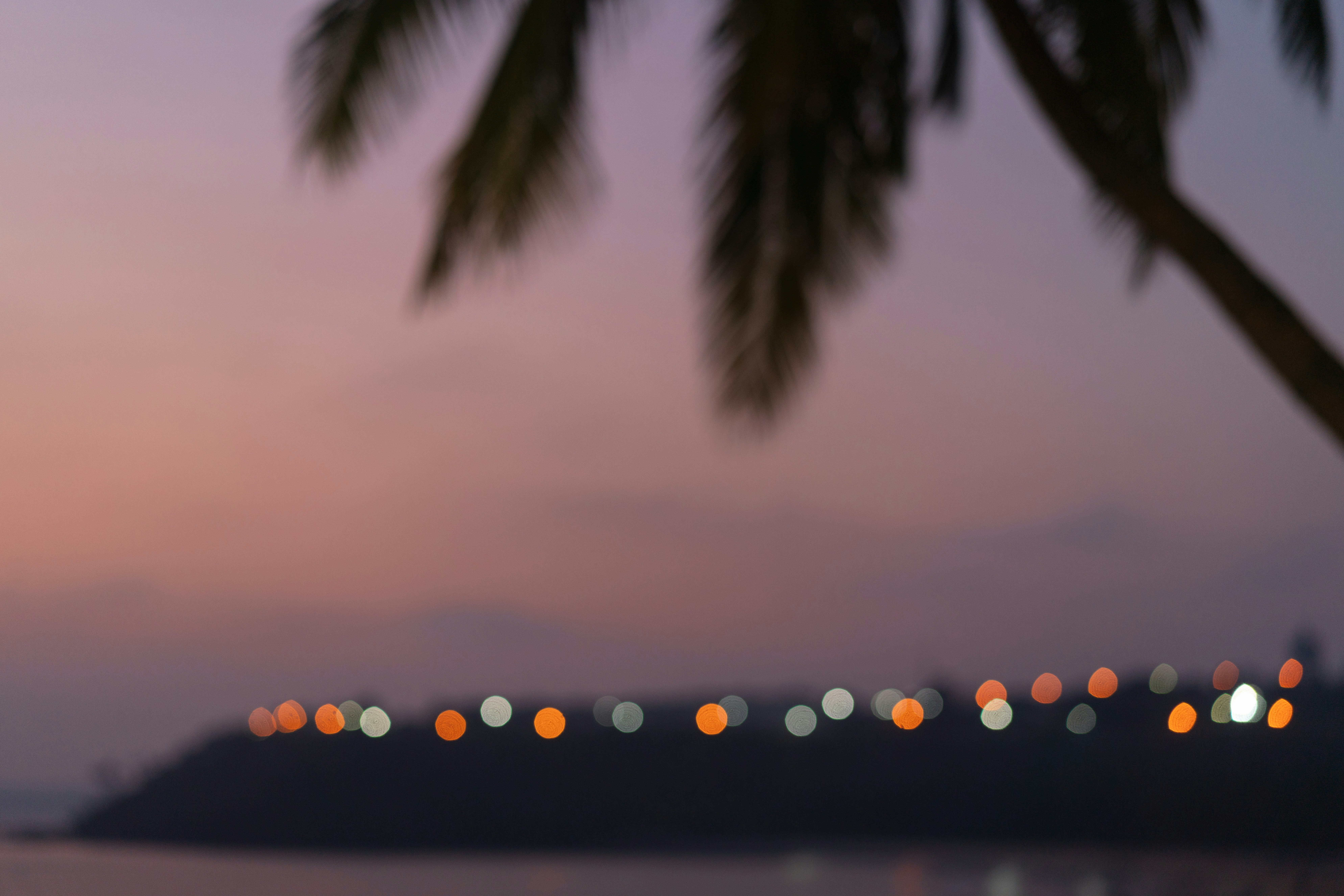 Hazy Palm Shimmer Over a Distant Harbor Lights