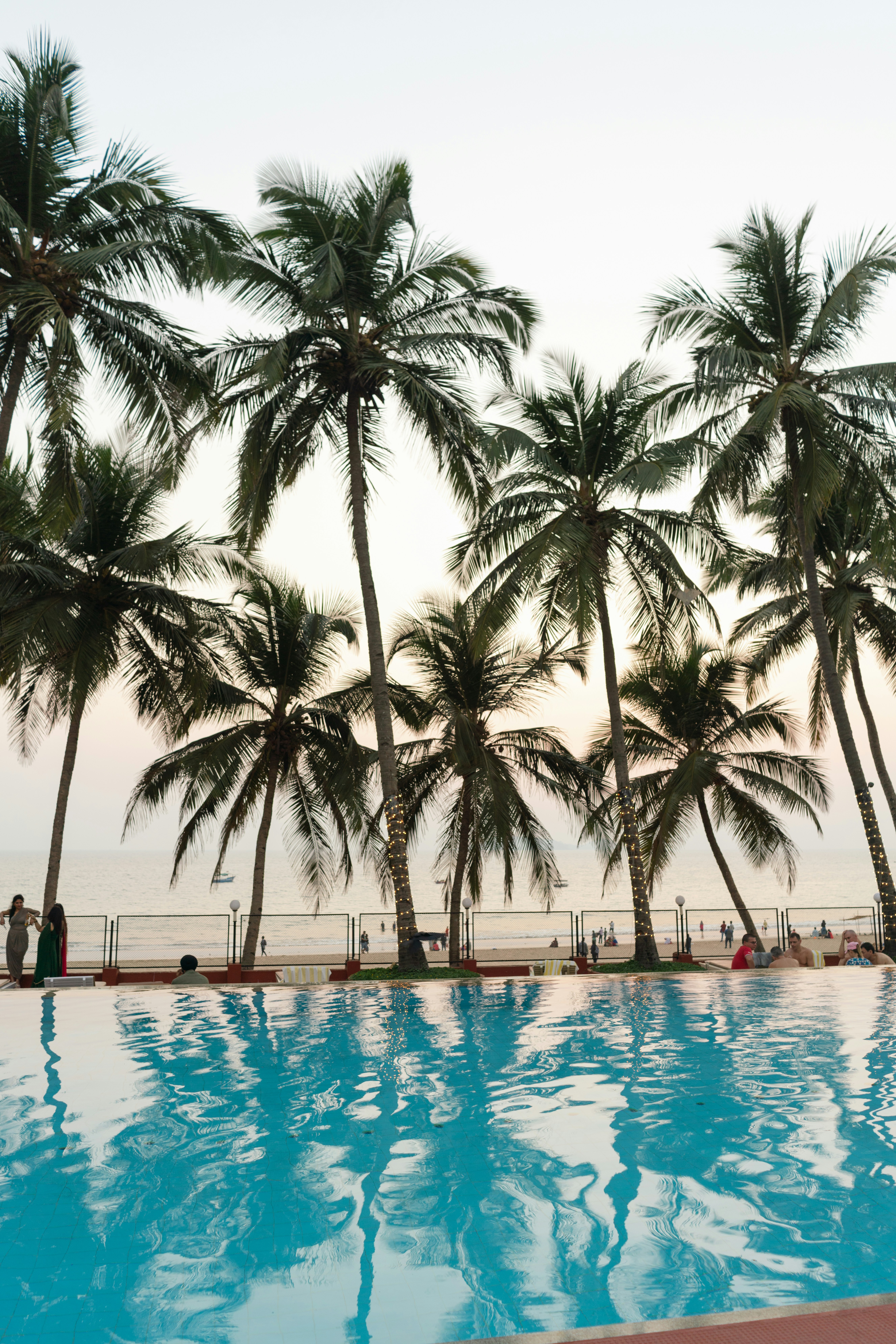 Palm-lined pool at sunset overlooking the sea