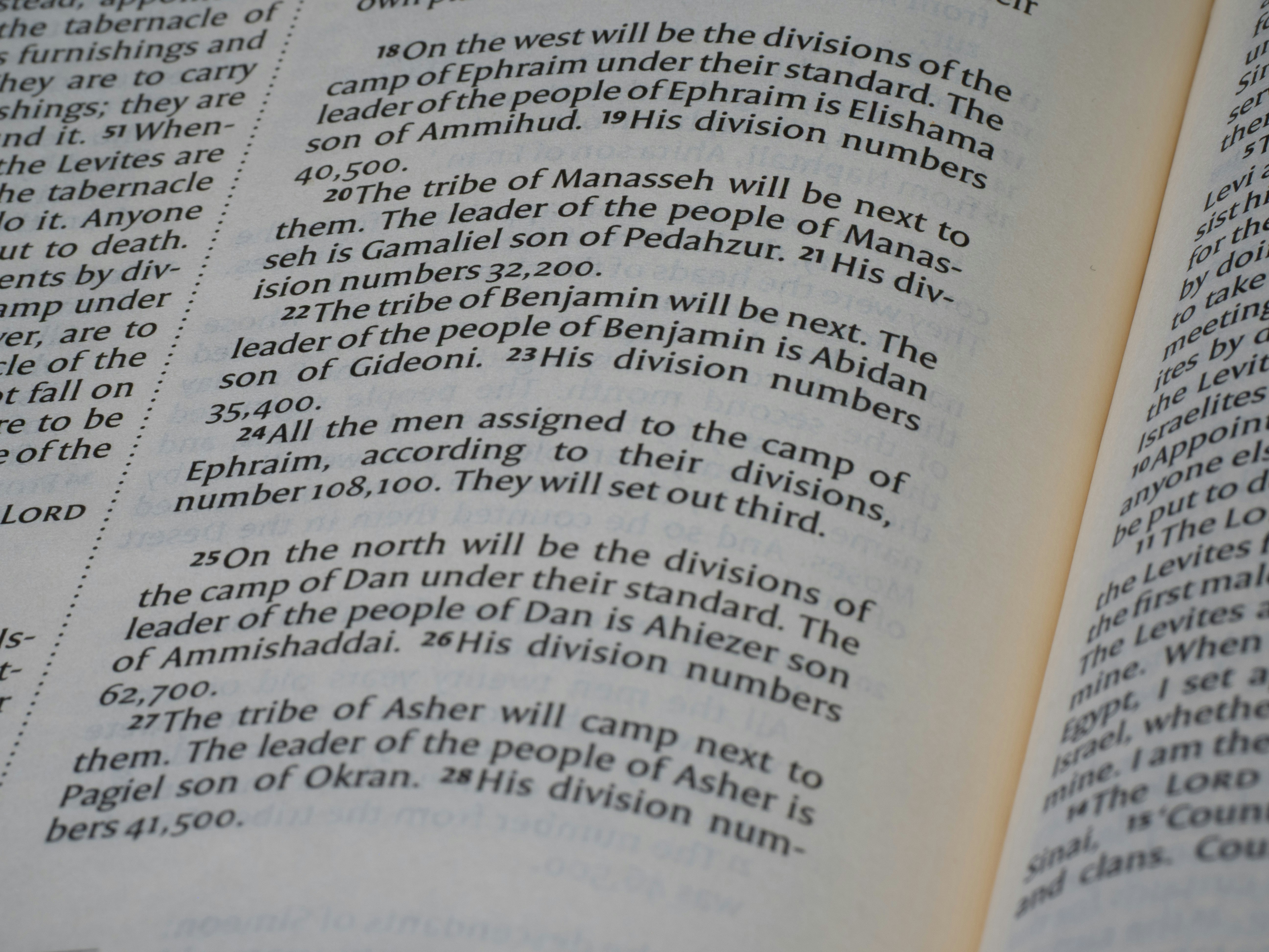 Underlined Text: A Macro View of Page Edges and Paragraphs