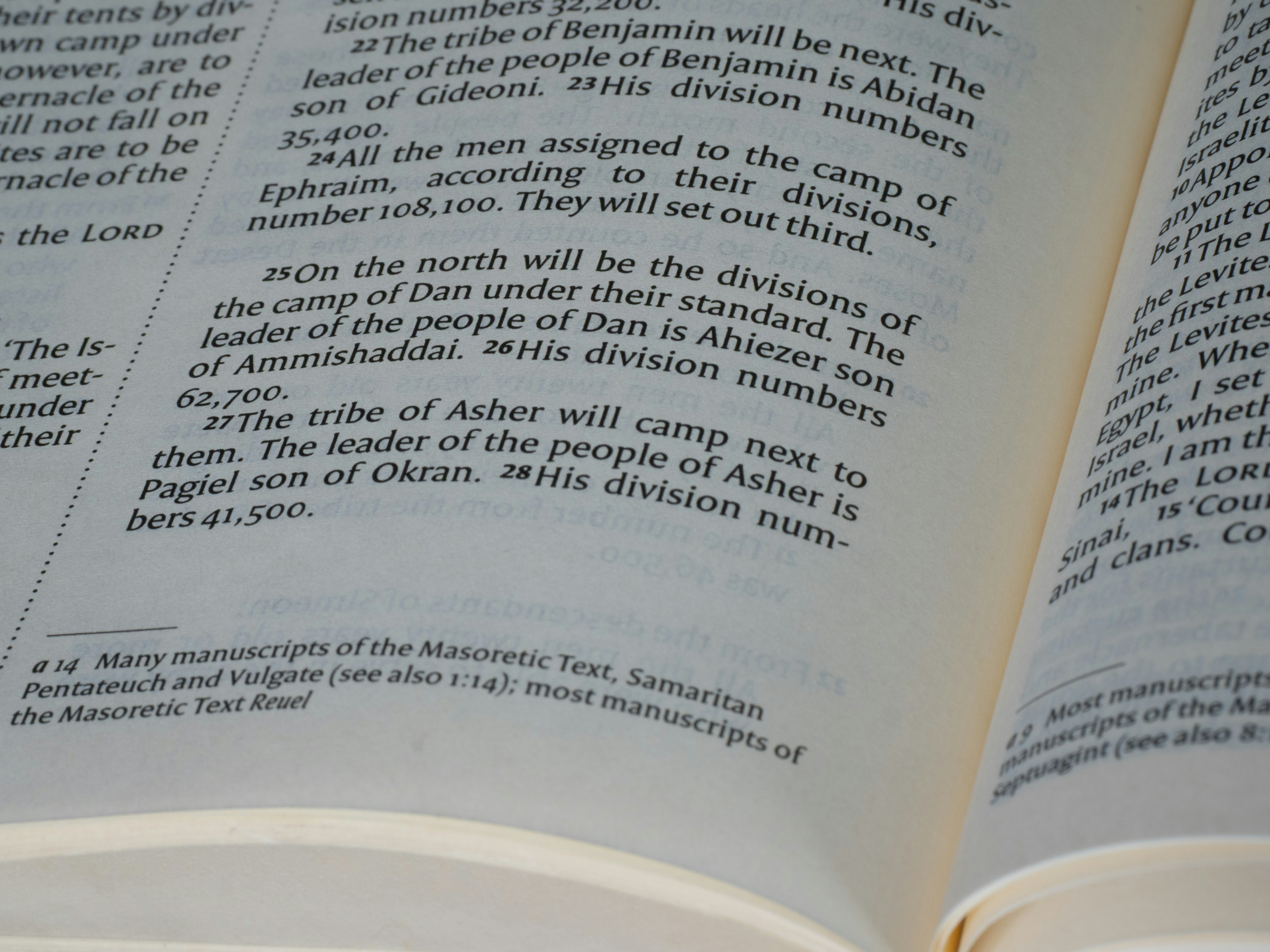 Margins of Knowledge: A Close-Scan of Printed Text
