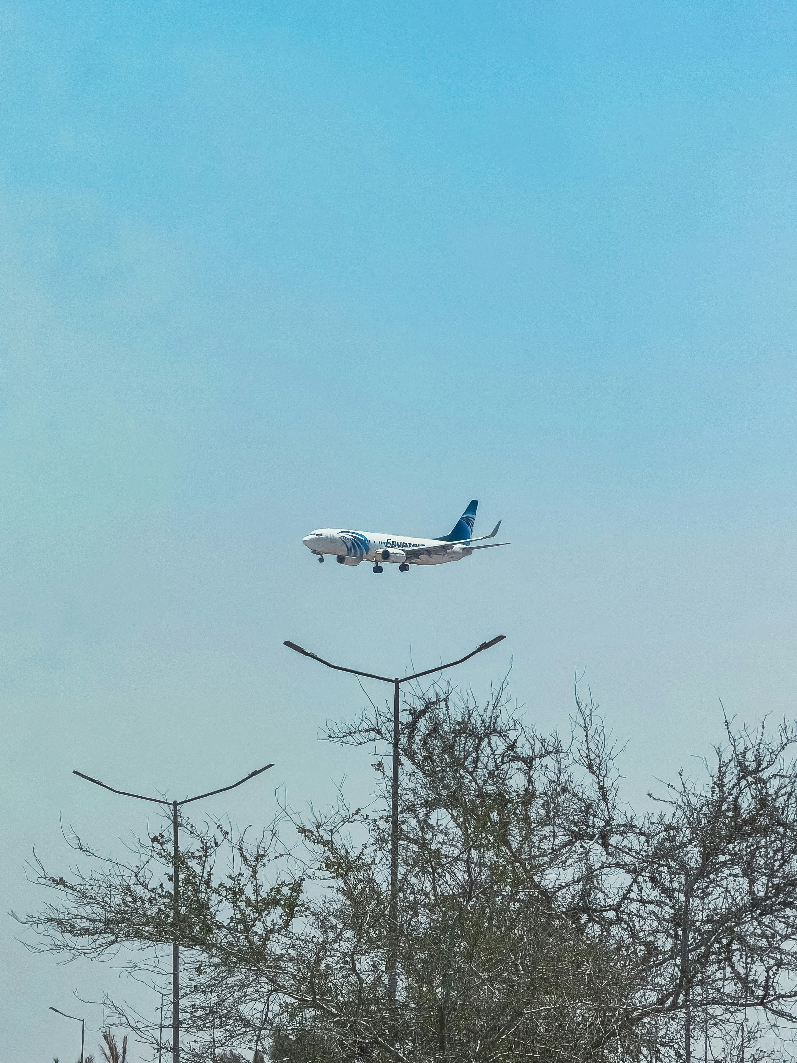 Approach in the Sky: A Passenger Jet Aligns with Distant Horizon