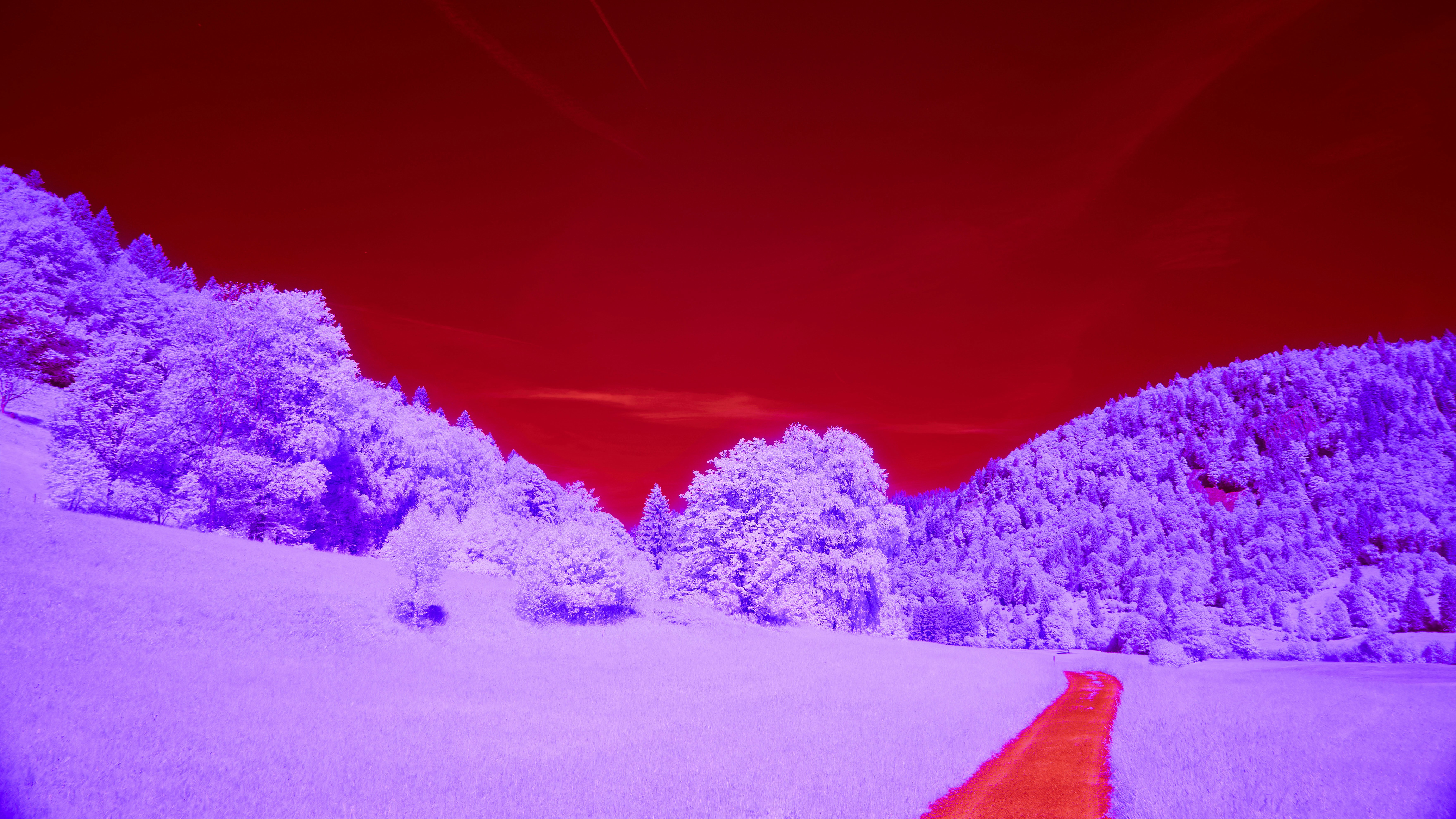 Crimson Sky Over Violet Pines: A Surreal Infrared Landscape