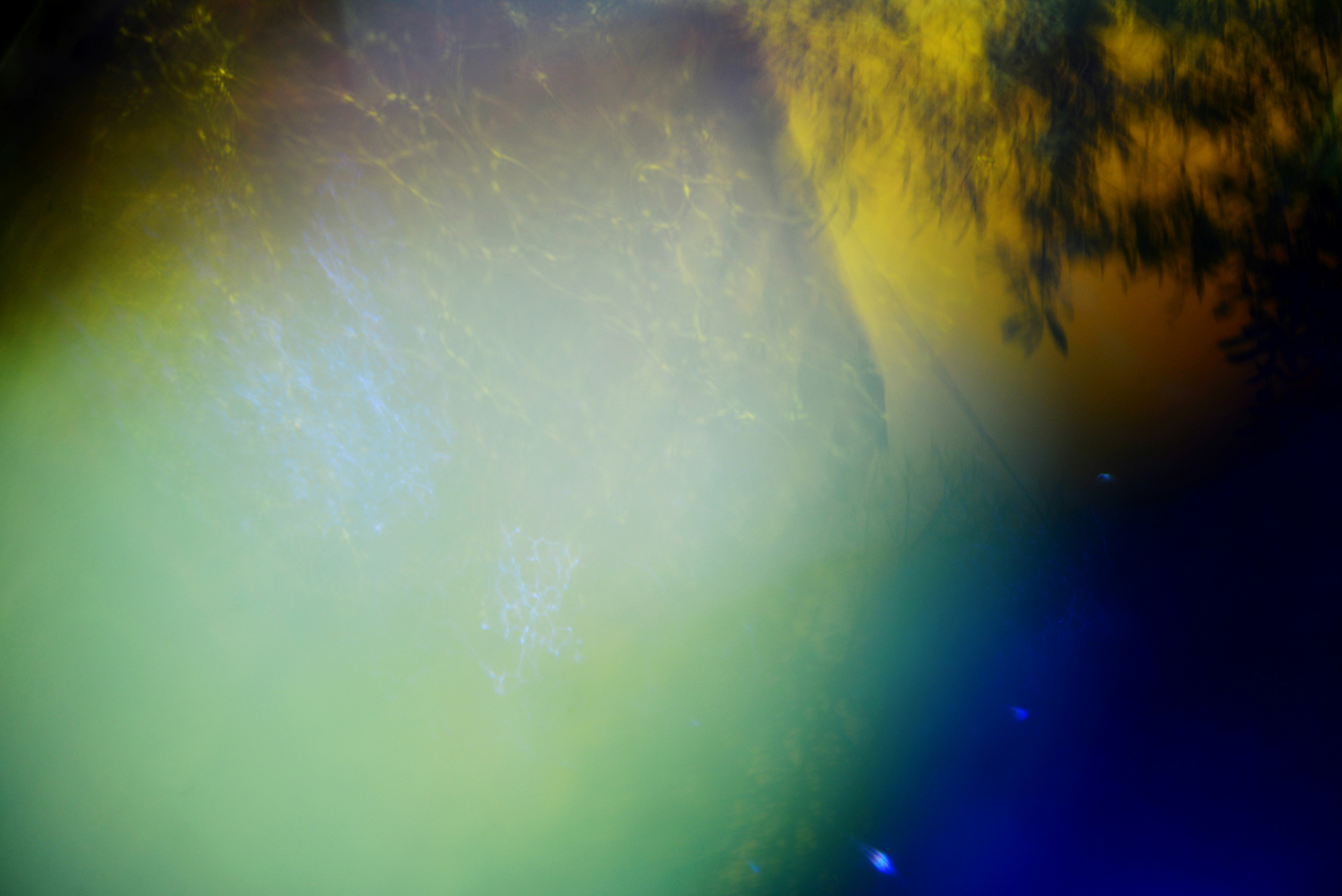 Chromatic Blur: A Dreamy Fold of Light and Color