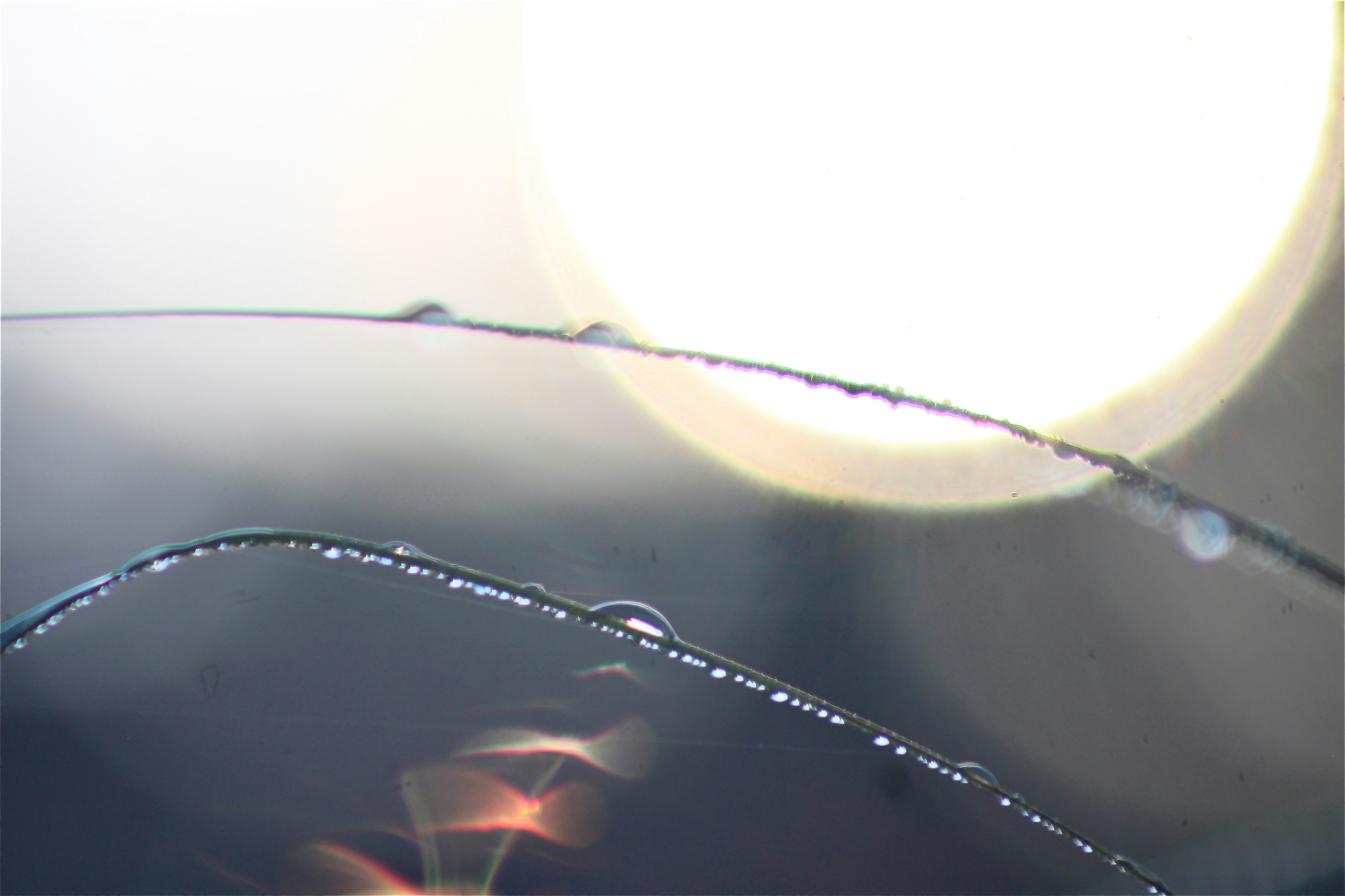 Dew-Kissed Curve: Sunset Over a Fractured Line