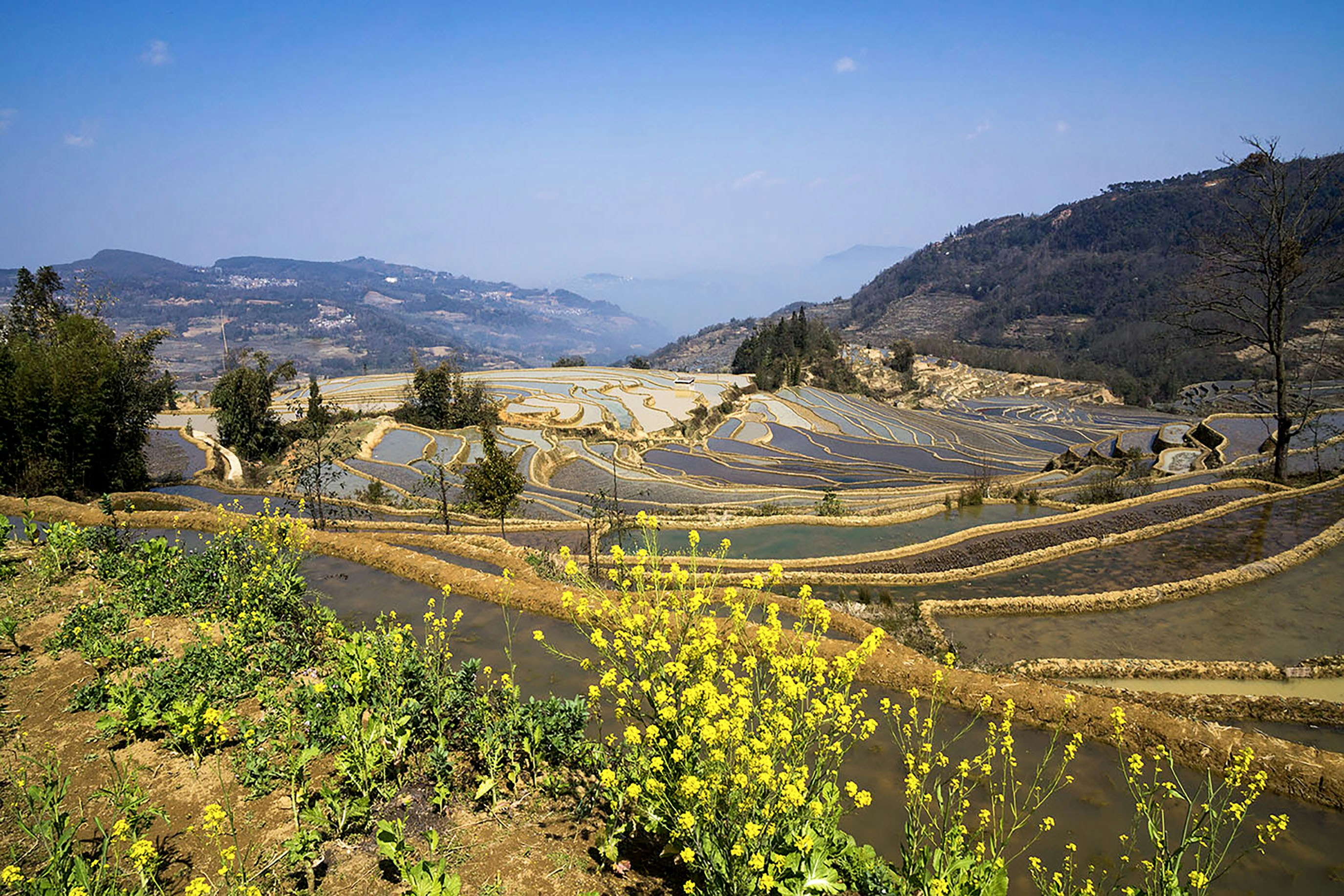 Terraced Valleys Under a Clear Sky