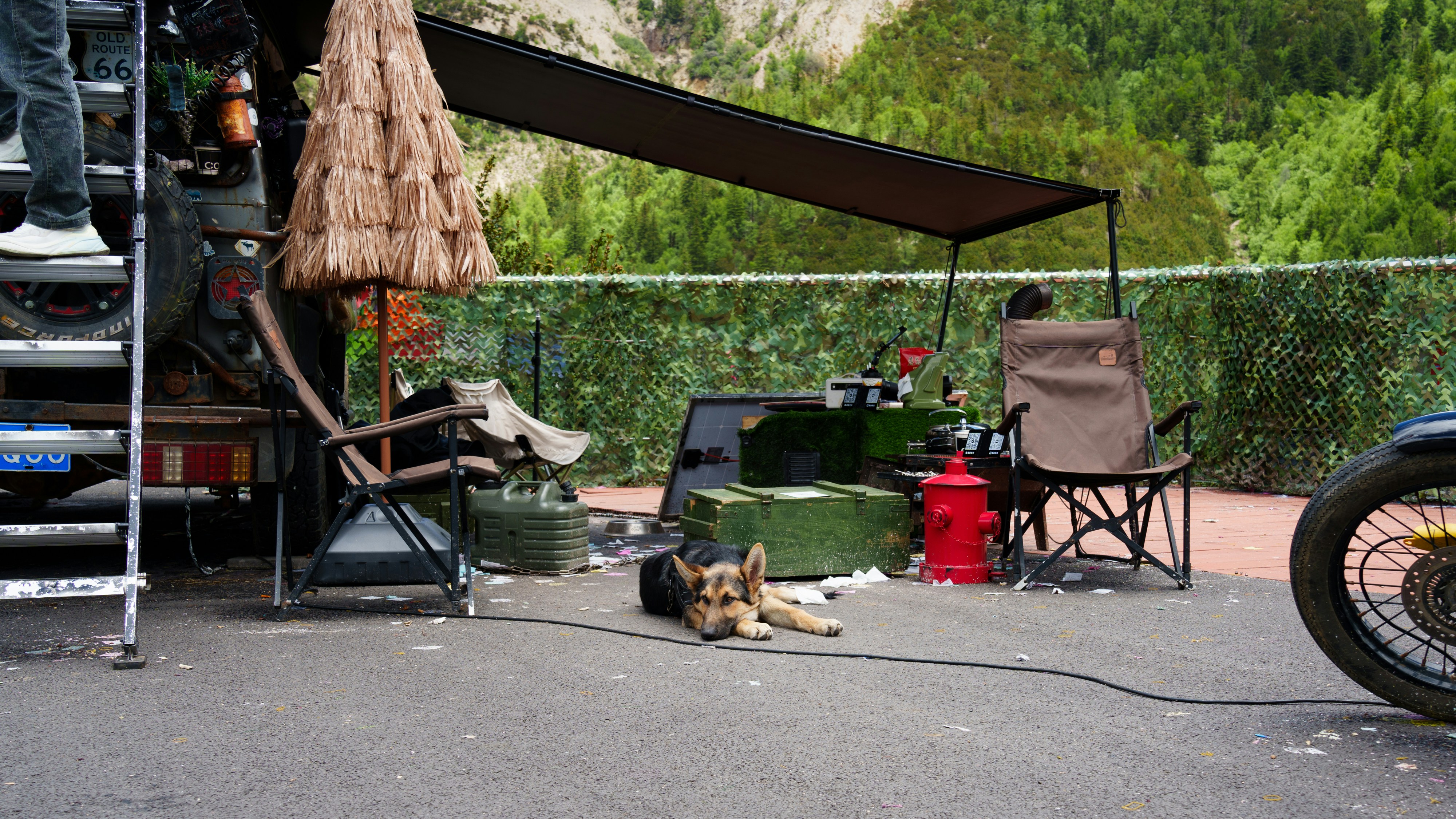 Resting on the Garage Floor: A Workshop Scene with a Small Dog
