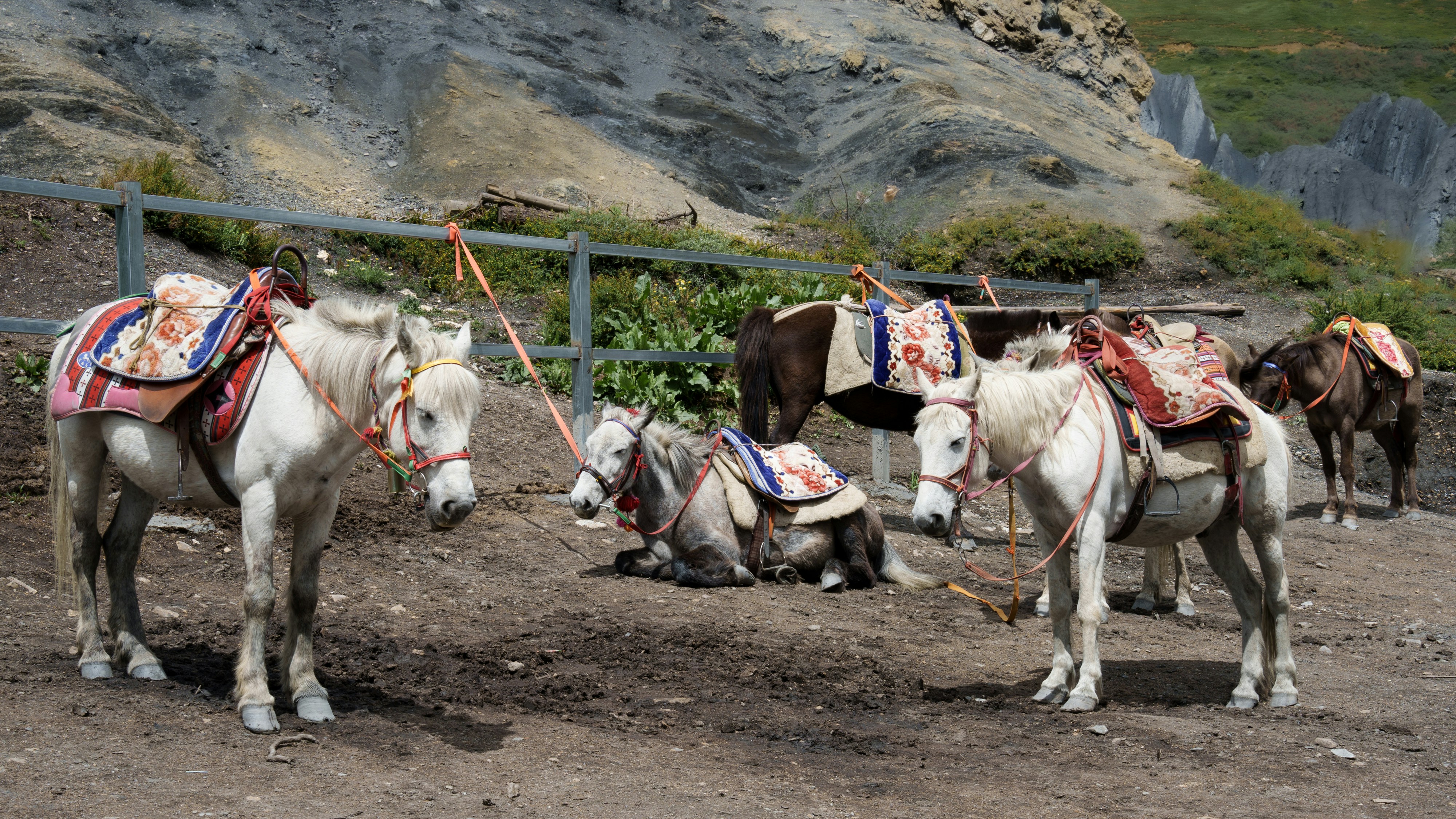 Saddled Silence: Mounted Group Rest Amid Rugged Outcrop