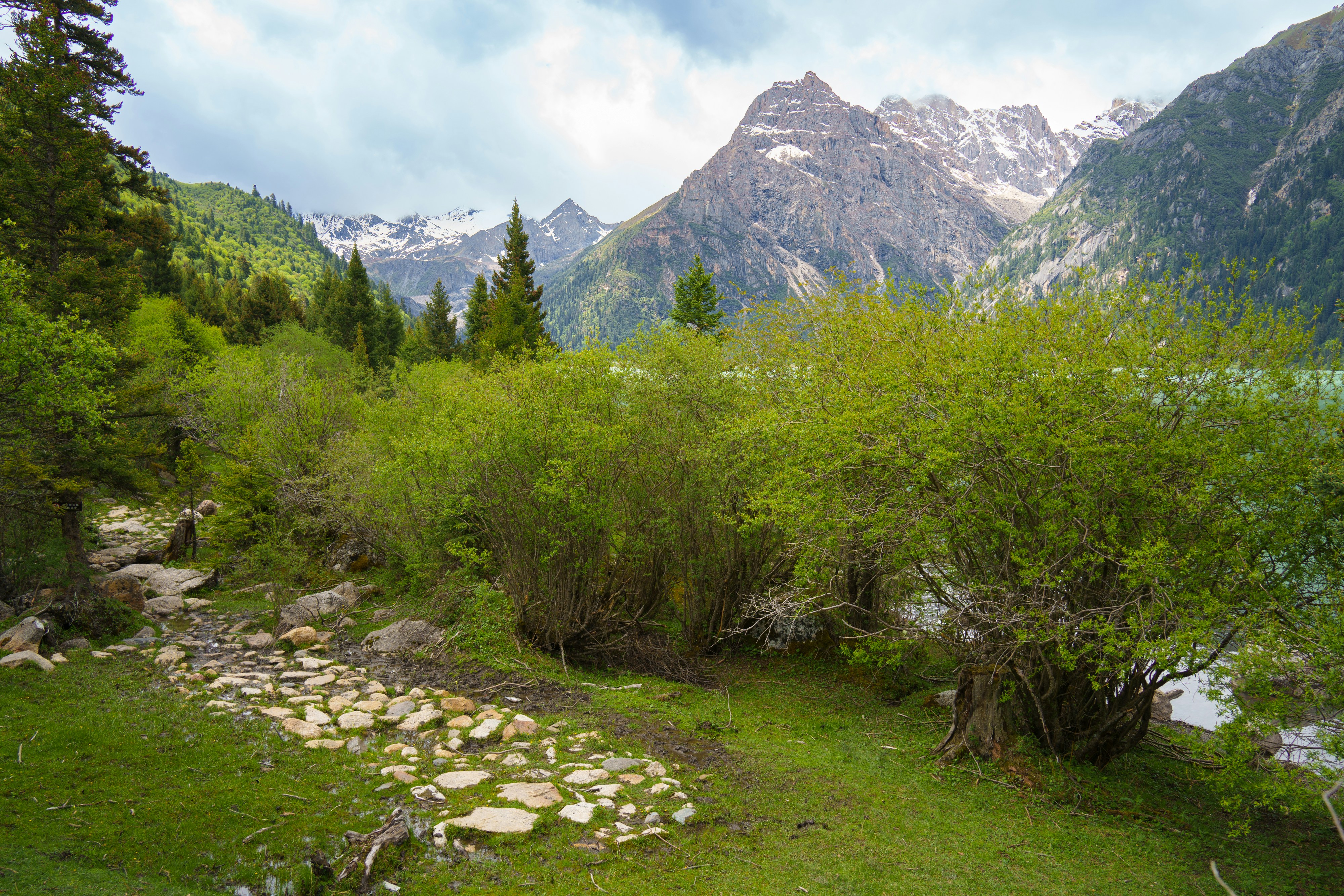 Stone Path Through a Alpine Meadow Under Snow-Capped Peaks