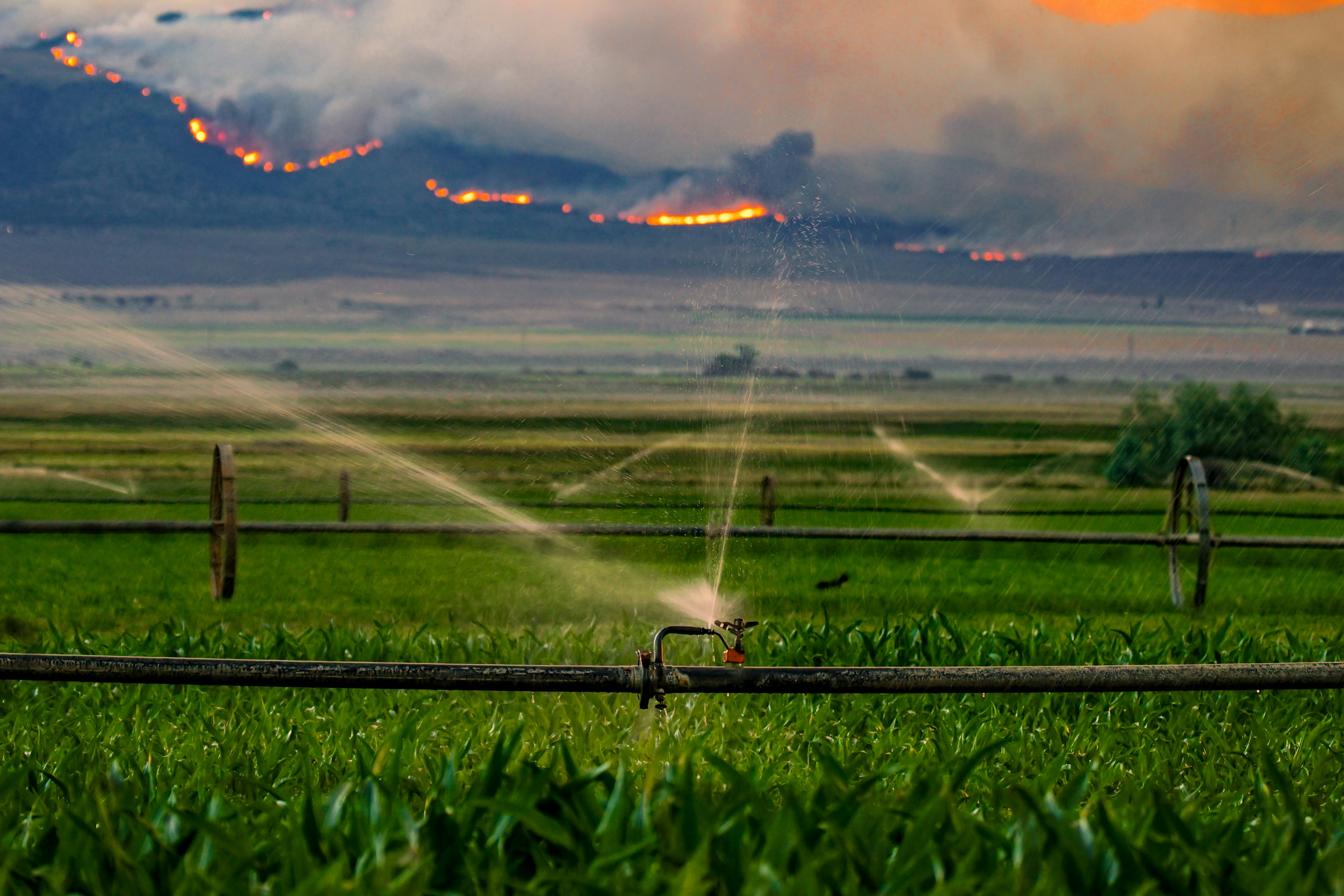 Irrigating Firebreak: A Hidden Drip Across a Green Field Beneath Smoke