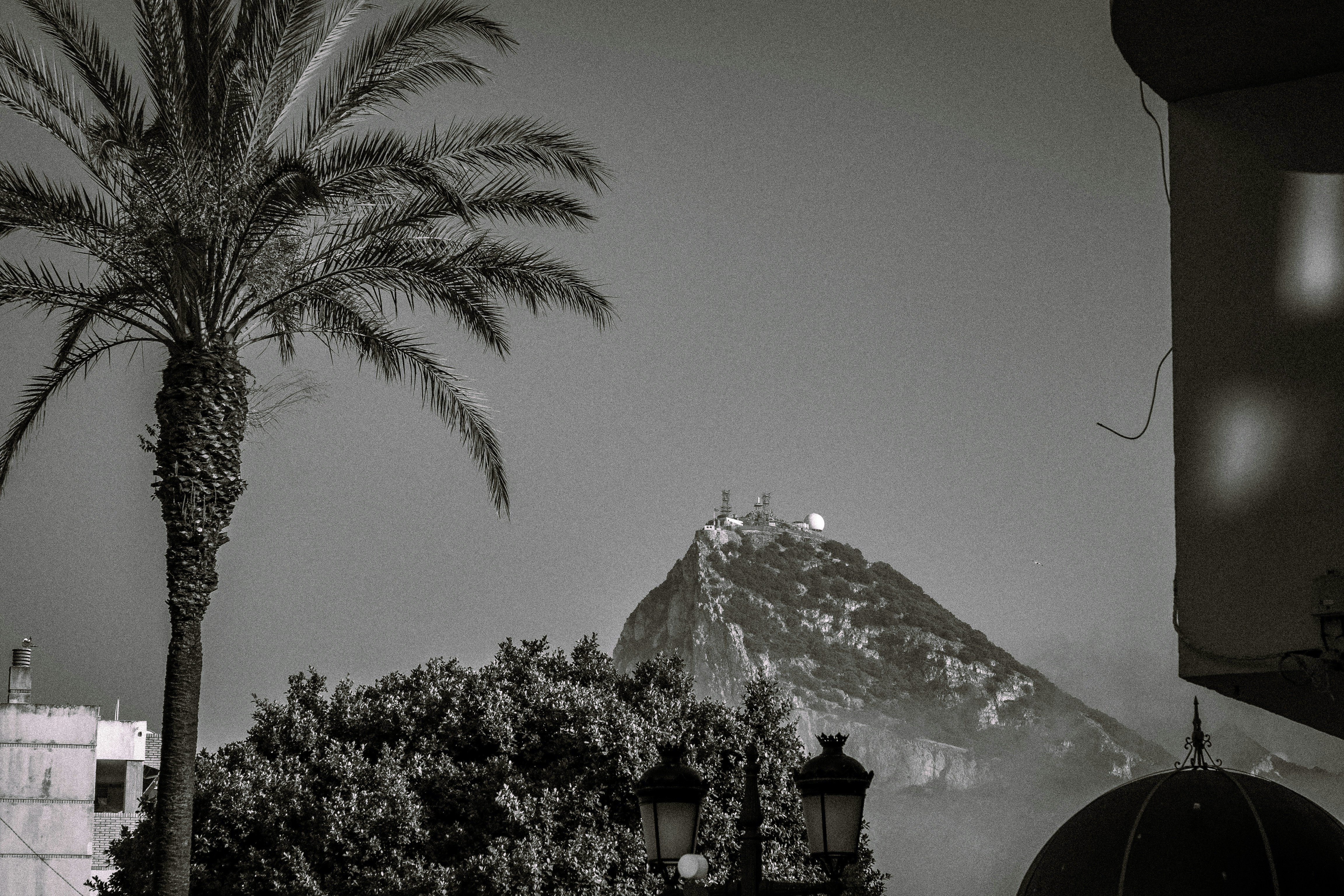 Urban oasis beneath the mountain: a quiet grayscale scene
