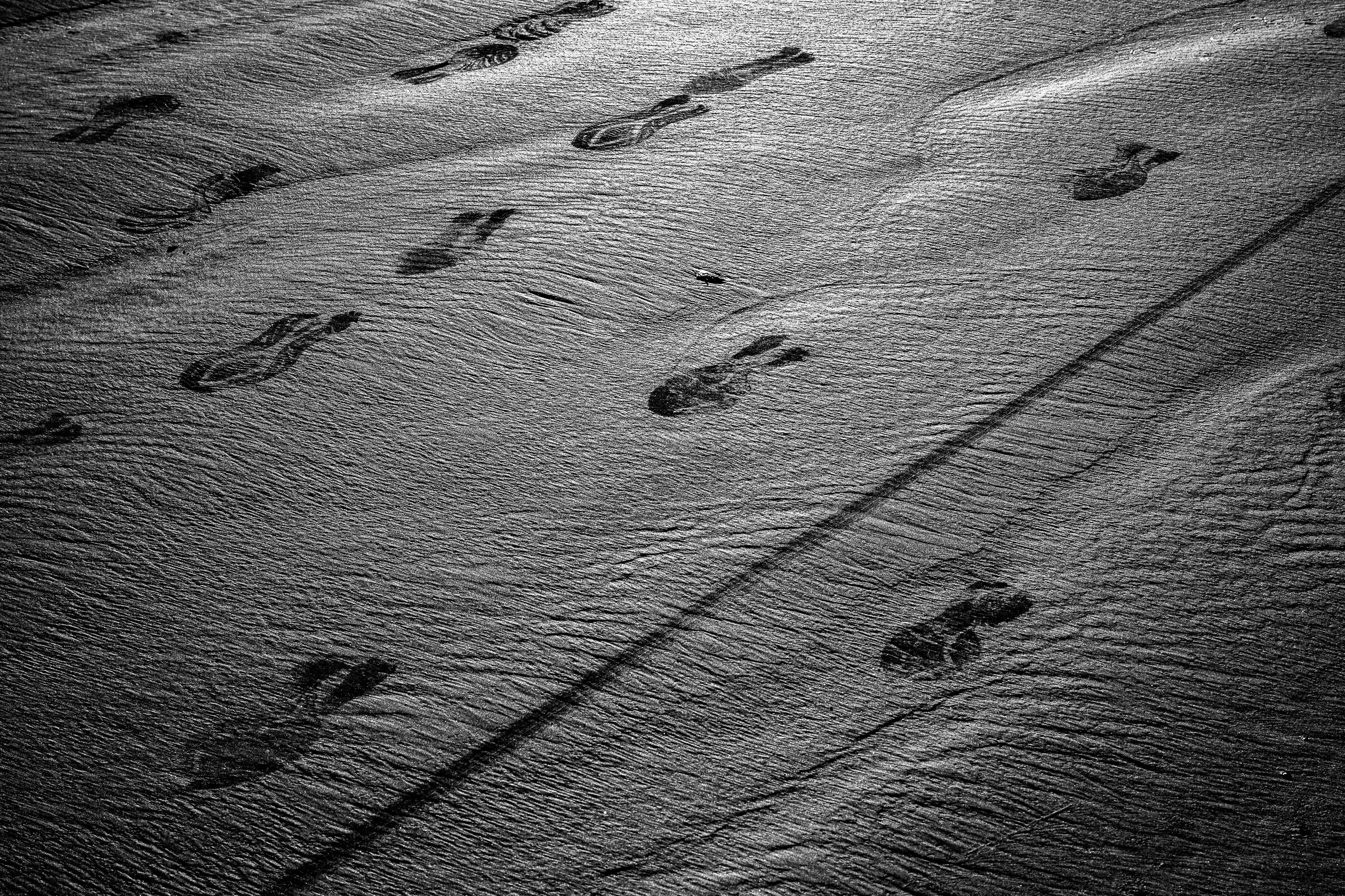 Footprints across a Wind-Worn Snowfield