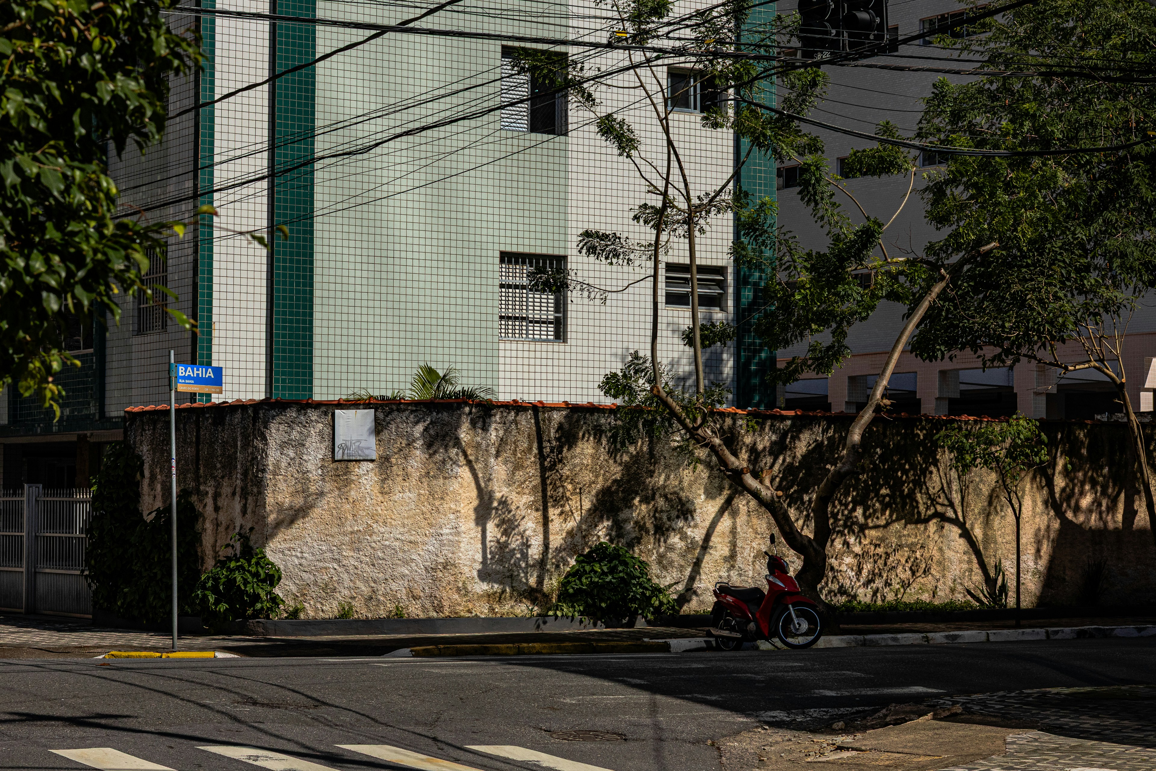 Red Scooter beneath a Gnarled Tree by a Weathered Wall