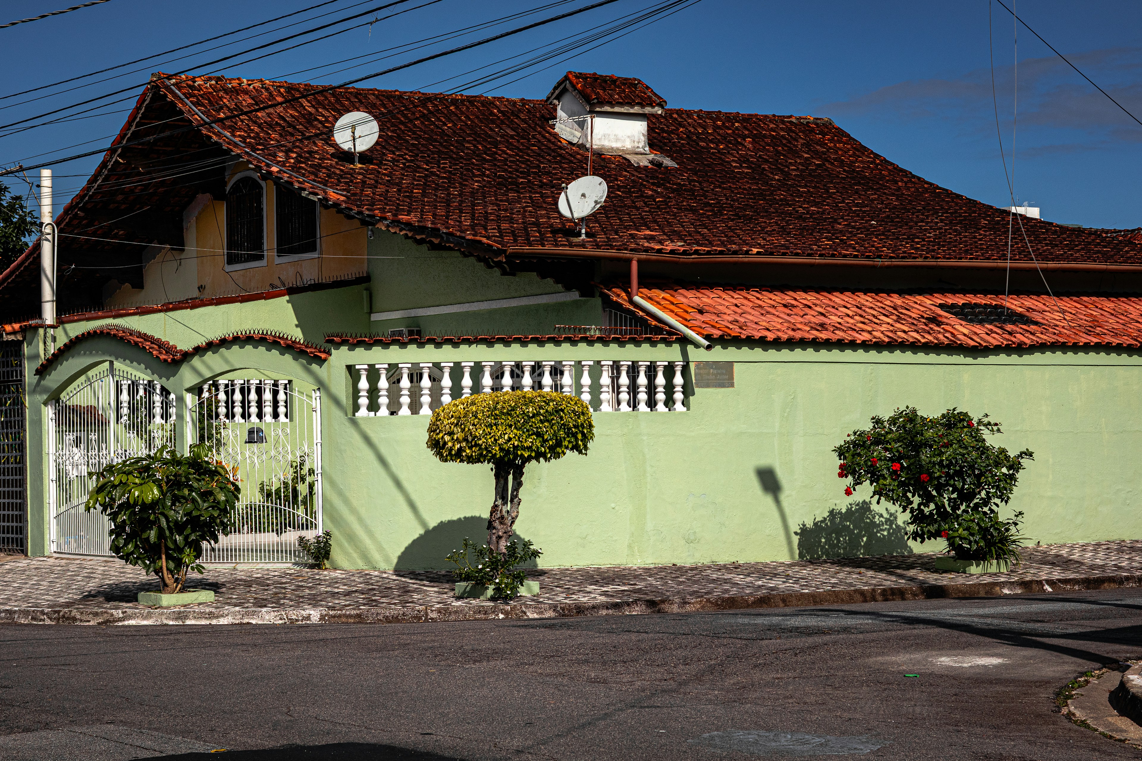 Verdant-green House with Velvet Roof Tiles and Satellite Dishes