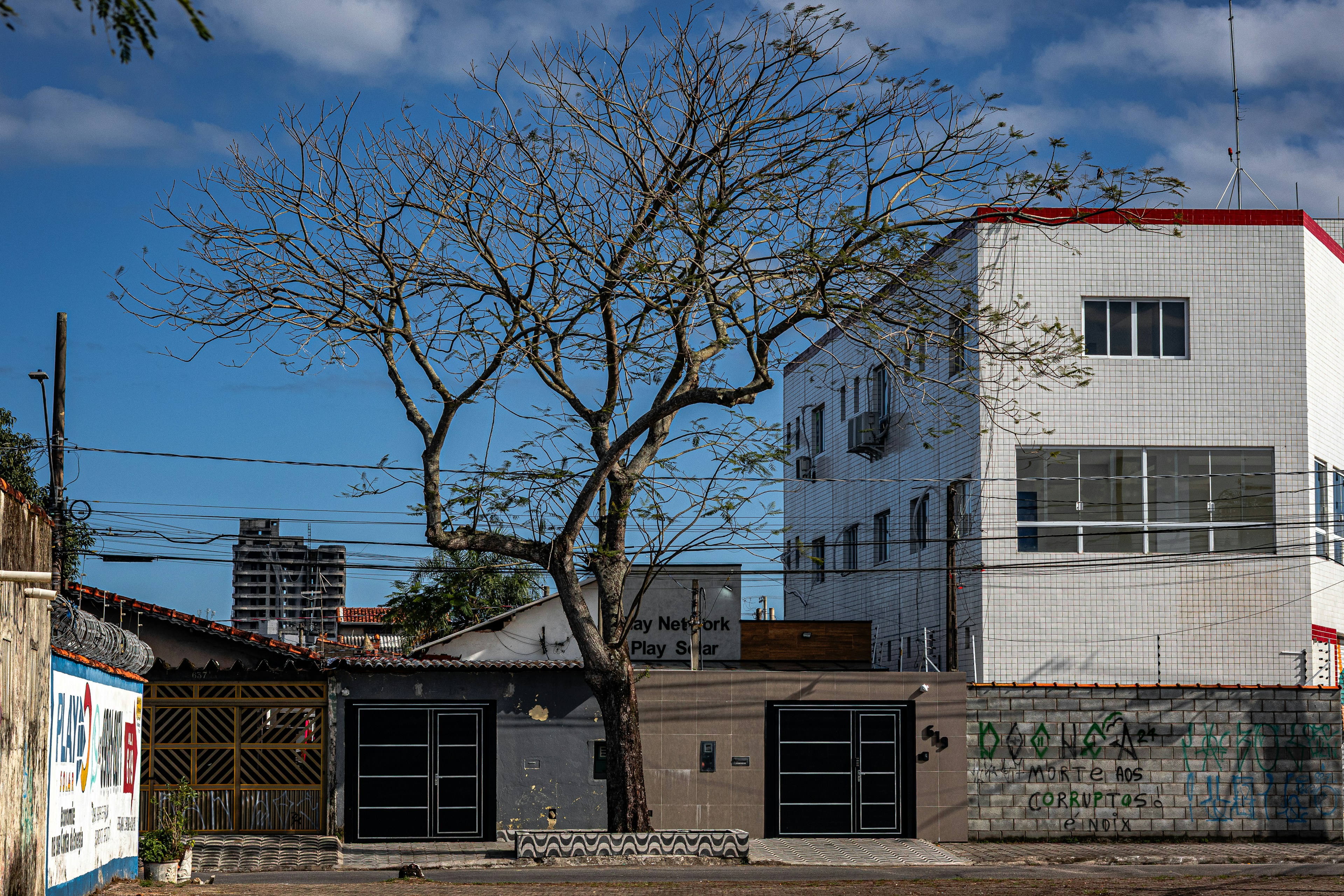 Weathered streetscape with a gnarled tree standing before a row of garages