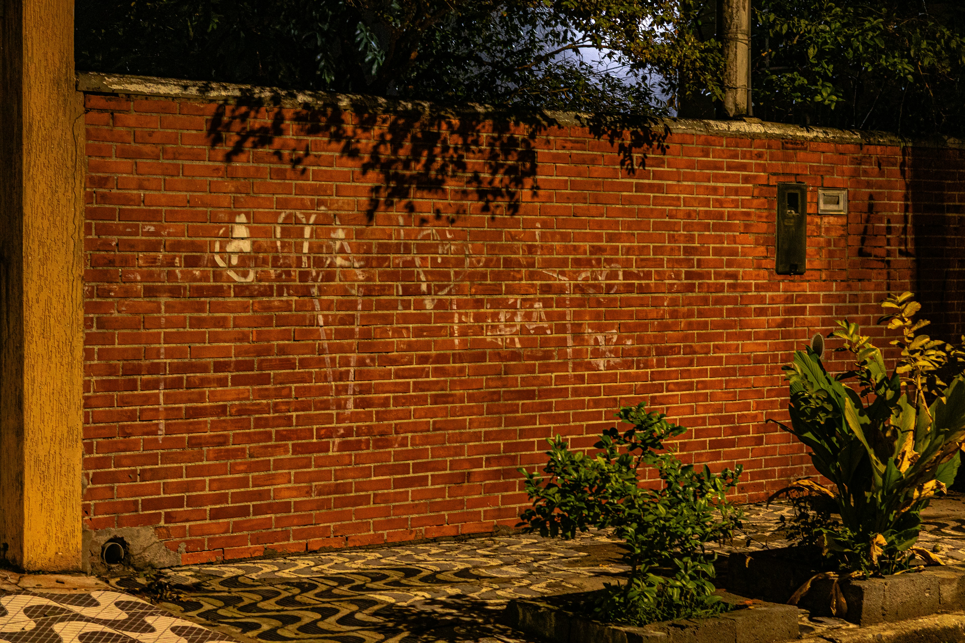 Sunlit Brick Wall with Graffiti and Shadowed Garden Edge