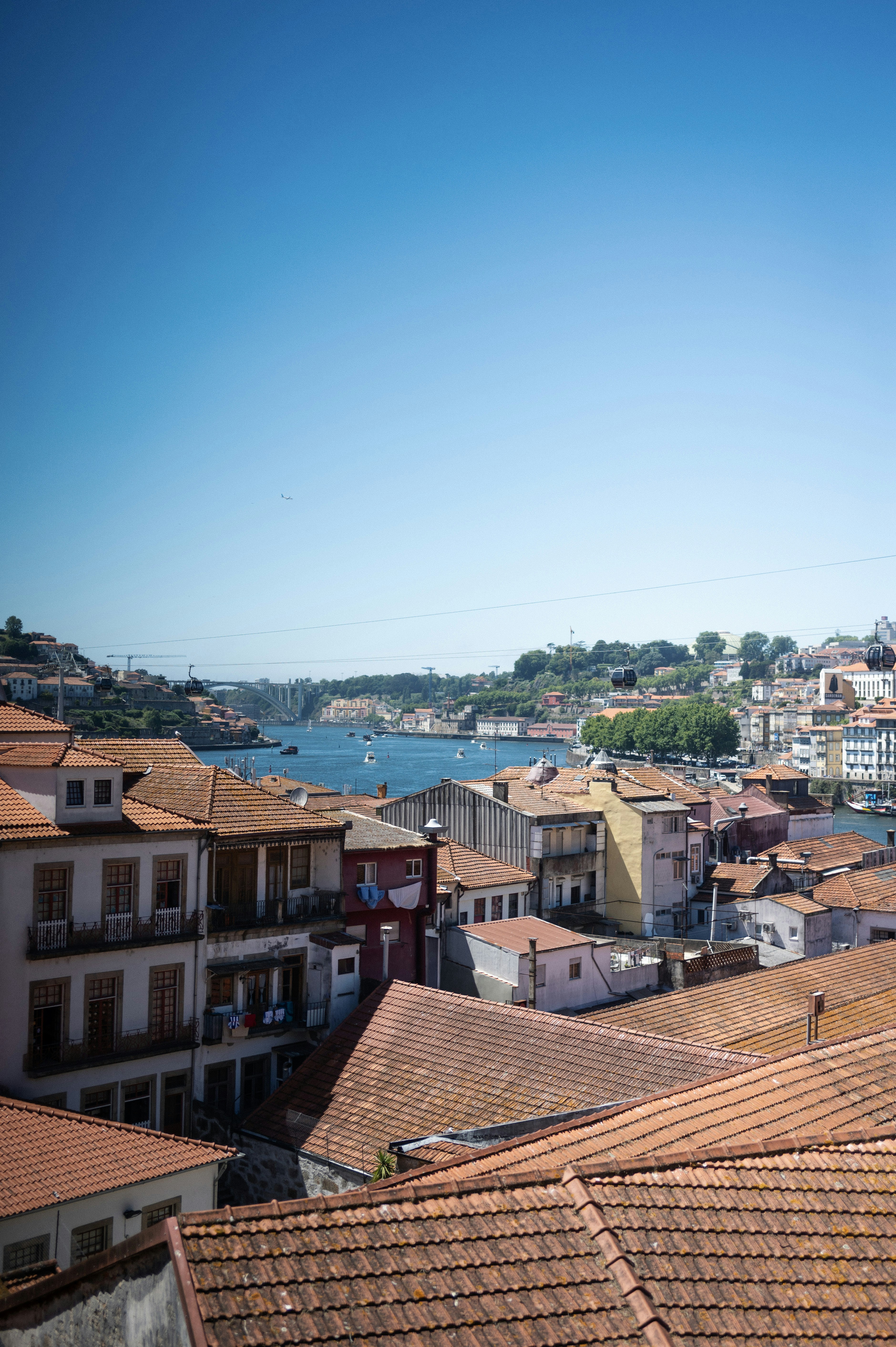 Terracotta Rooftops Leading to a Coastal Horizon