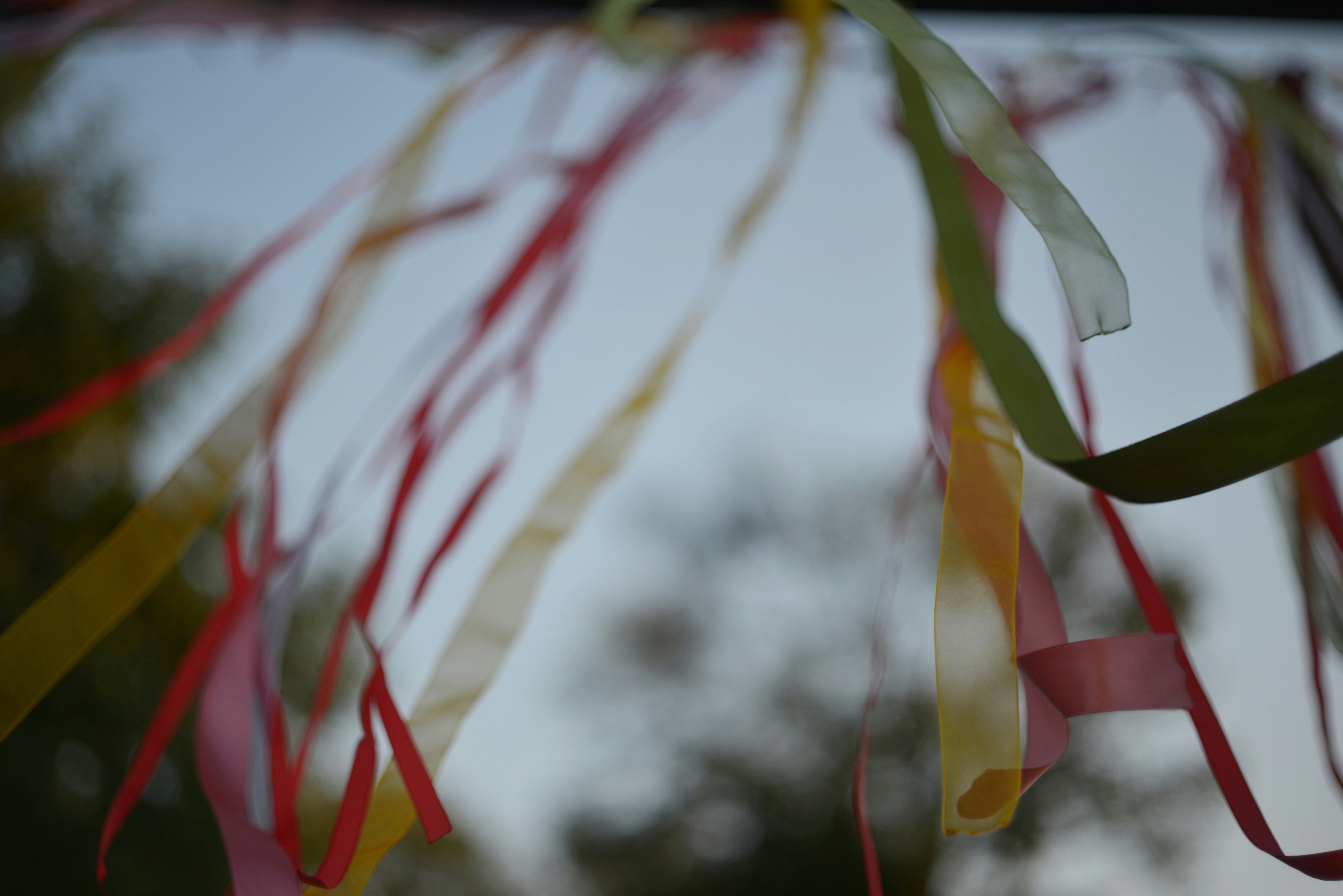 Colorful Streamers in Soft Focus under Open Sky