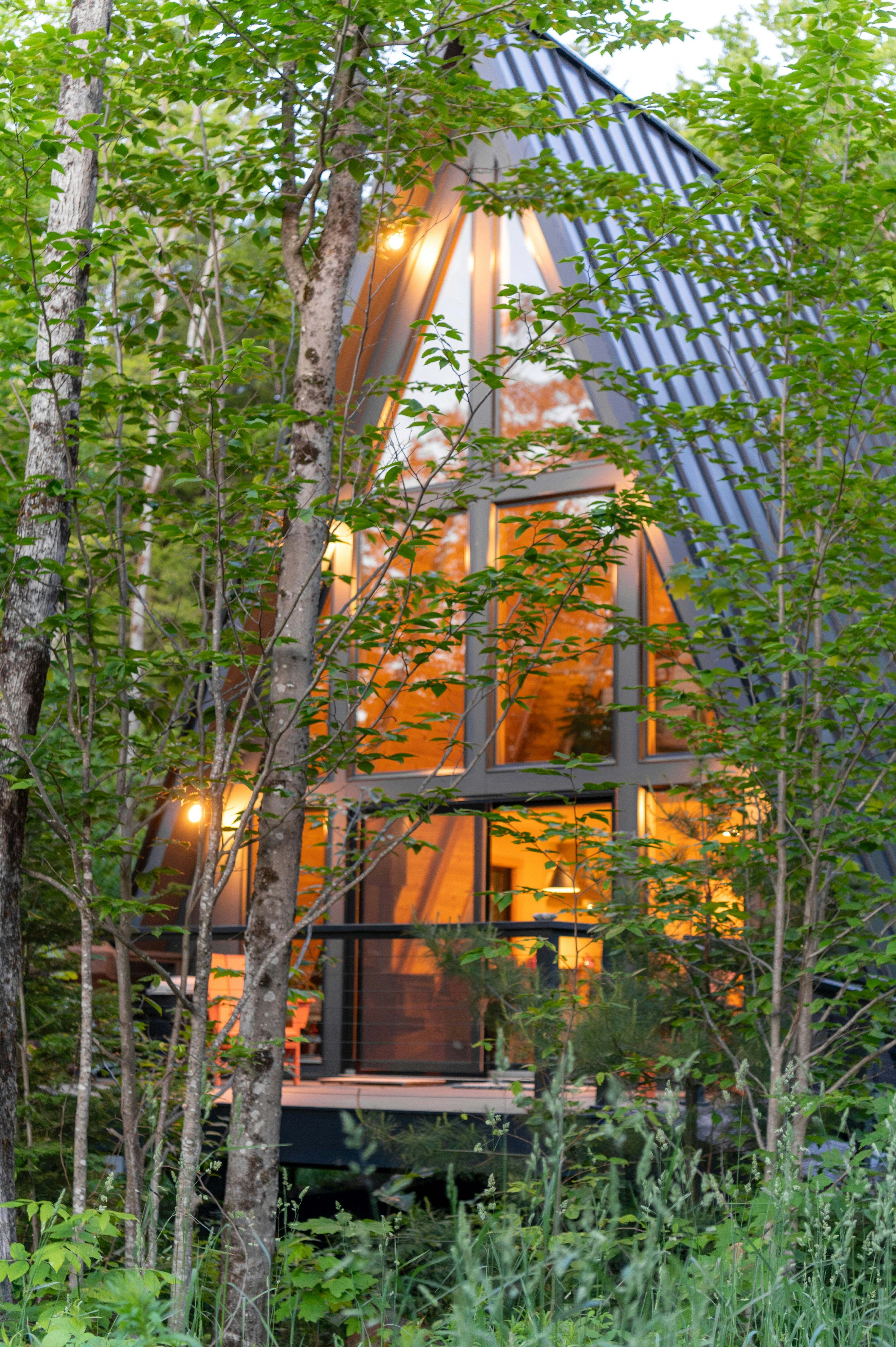 Sunlit A-frame Through the Green Wall