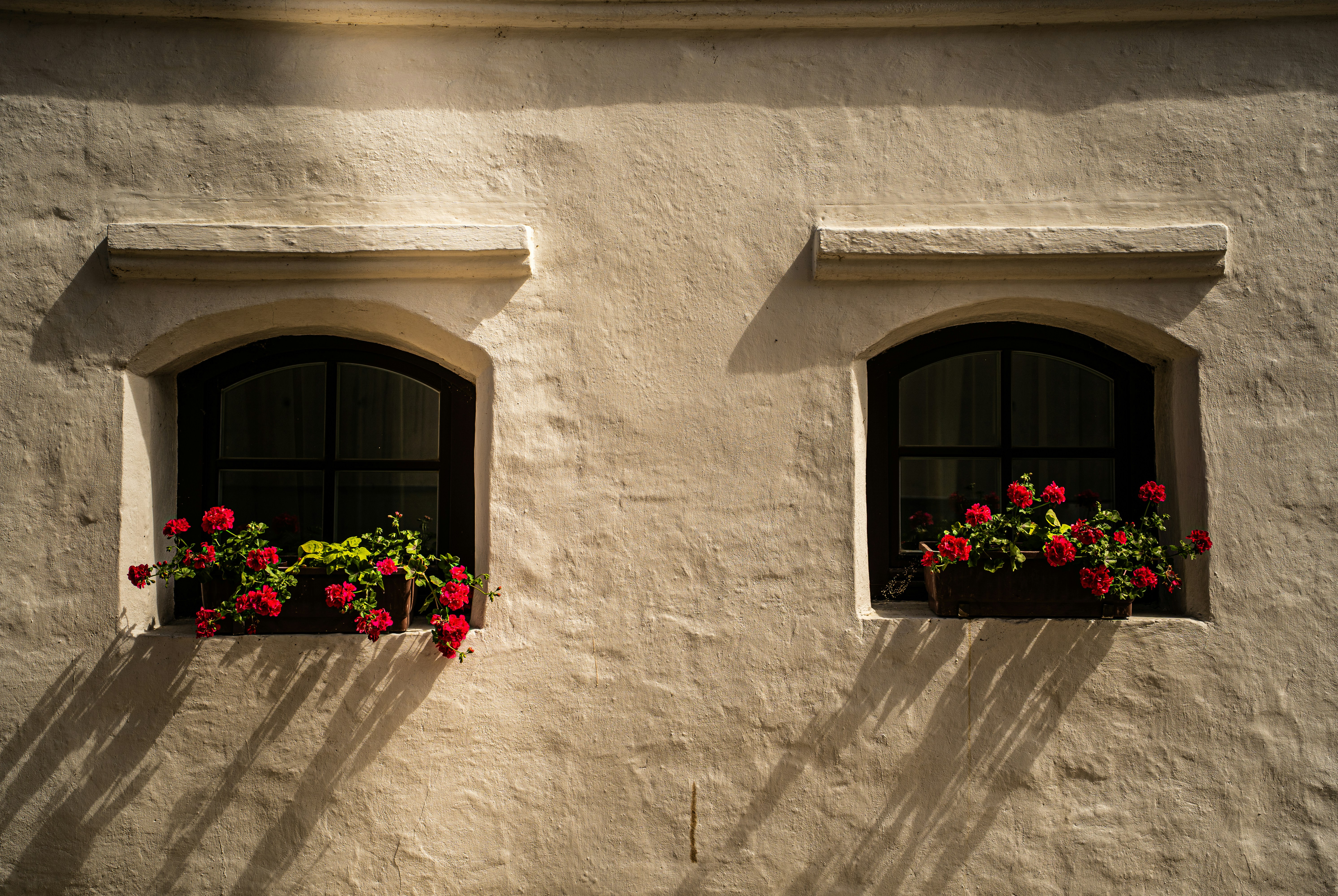 Sunlit Window Boxes on a Worn Stucco Facade