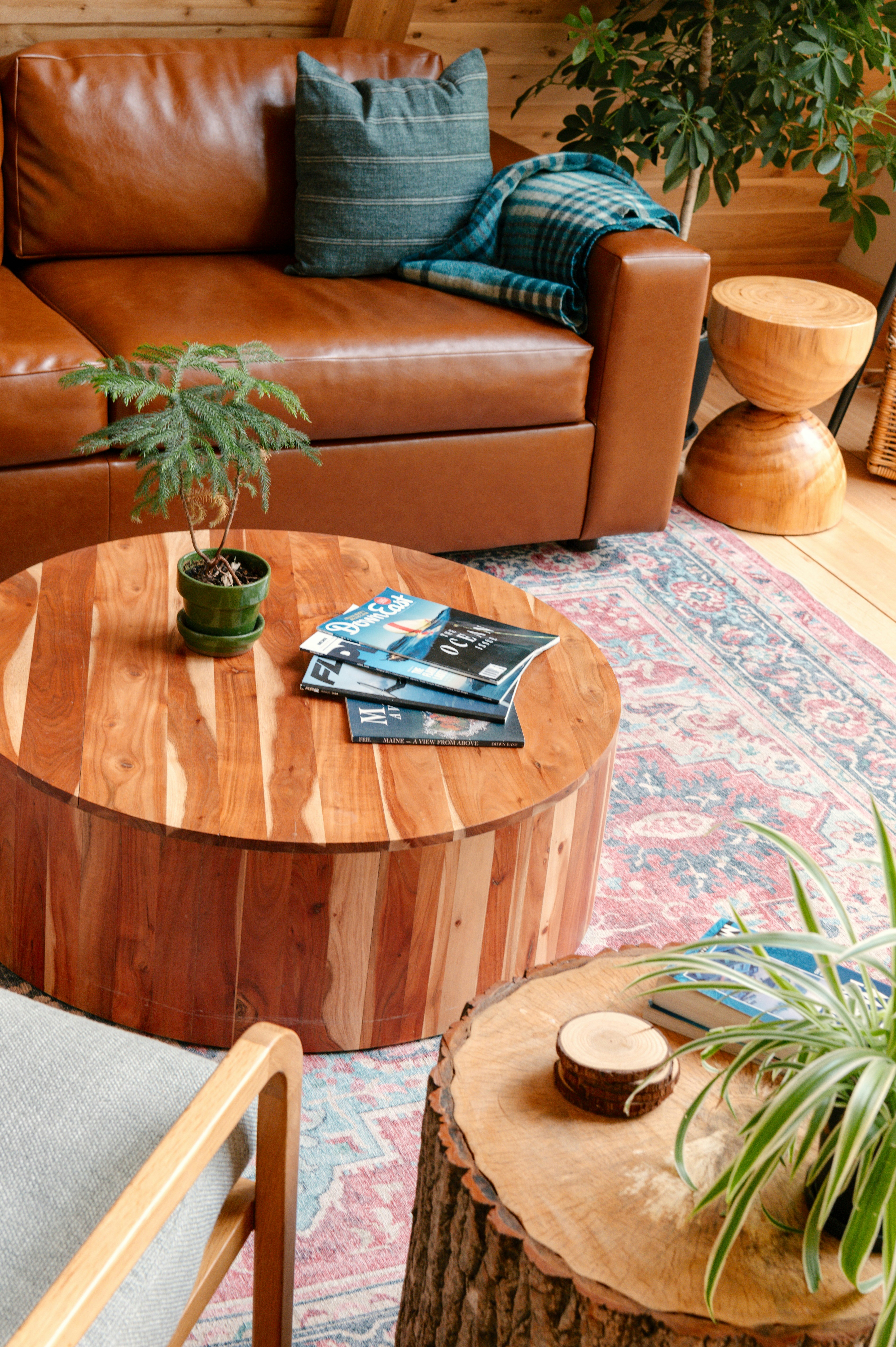 Warm Indoor Lounge with Zebra-Striped Coffee Table and Potted Fern