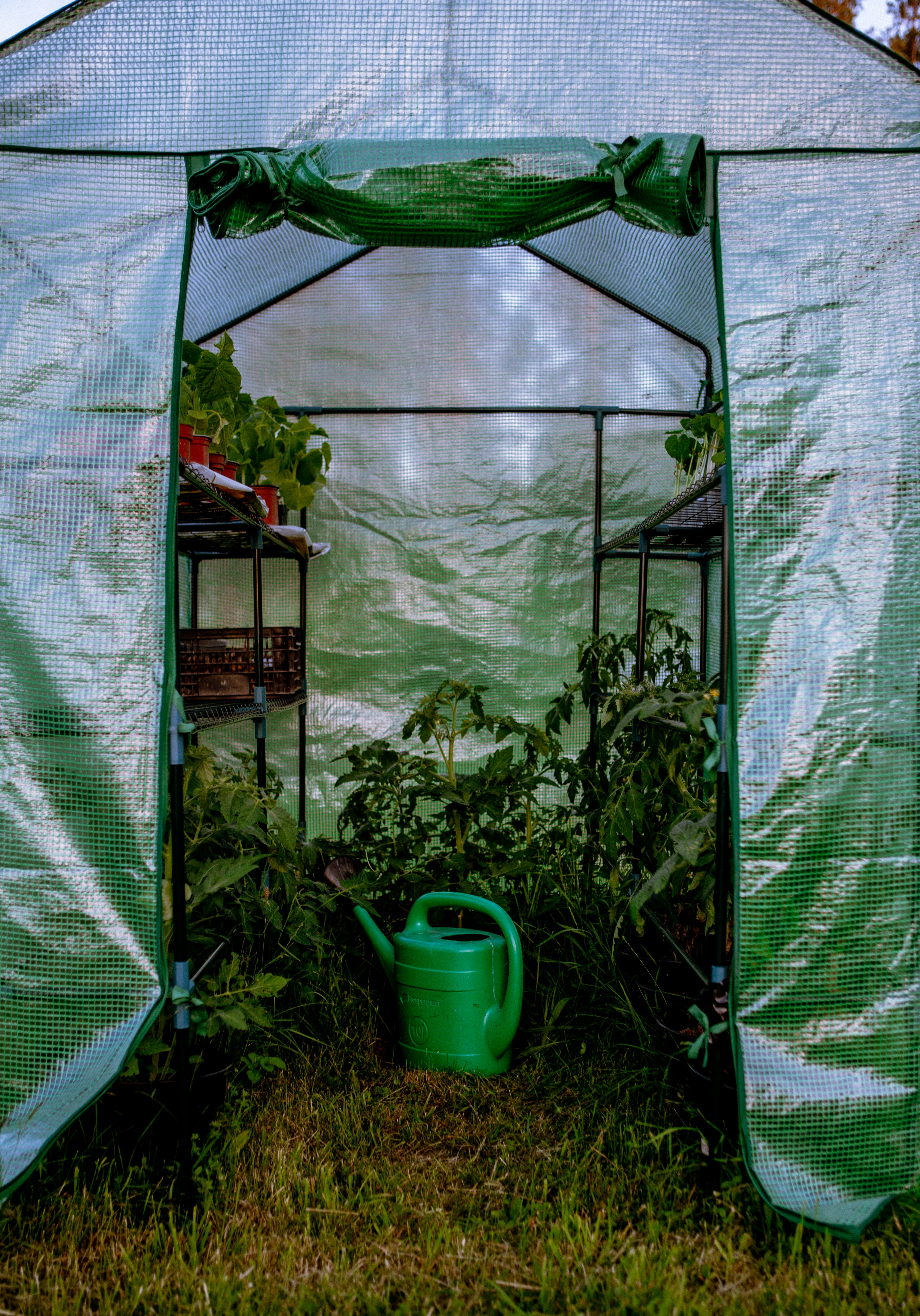 Greenhouse Gateways: A Gardener's Little Oasis