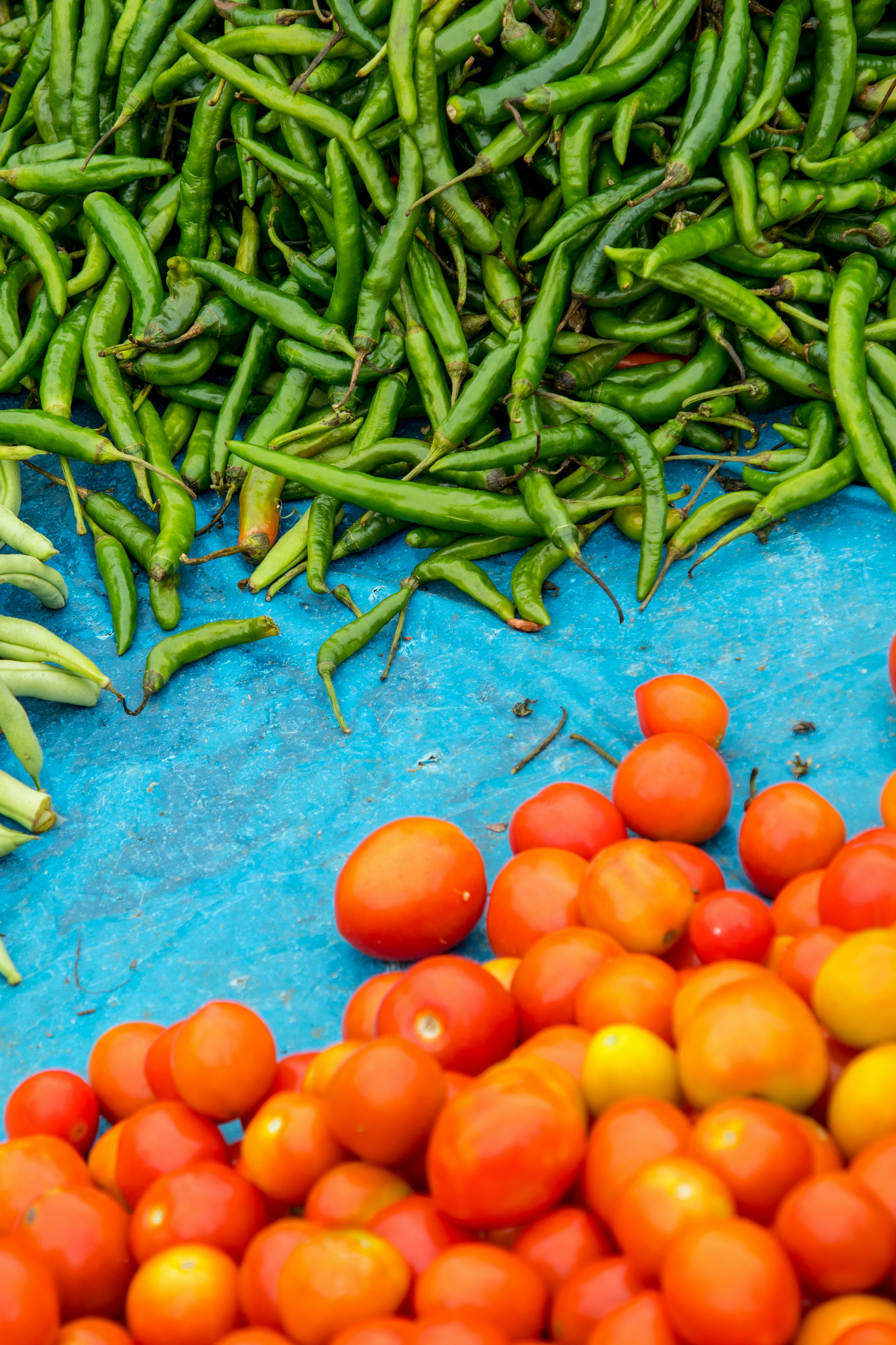 Green Beans Above a Sea of Tomatoes