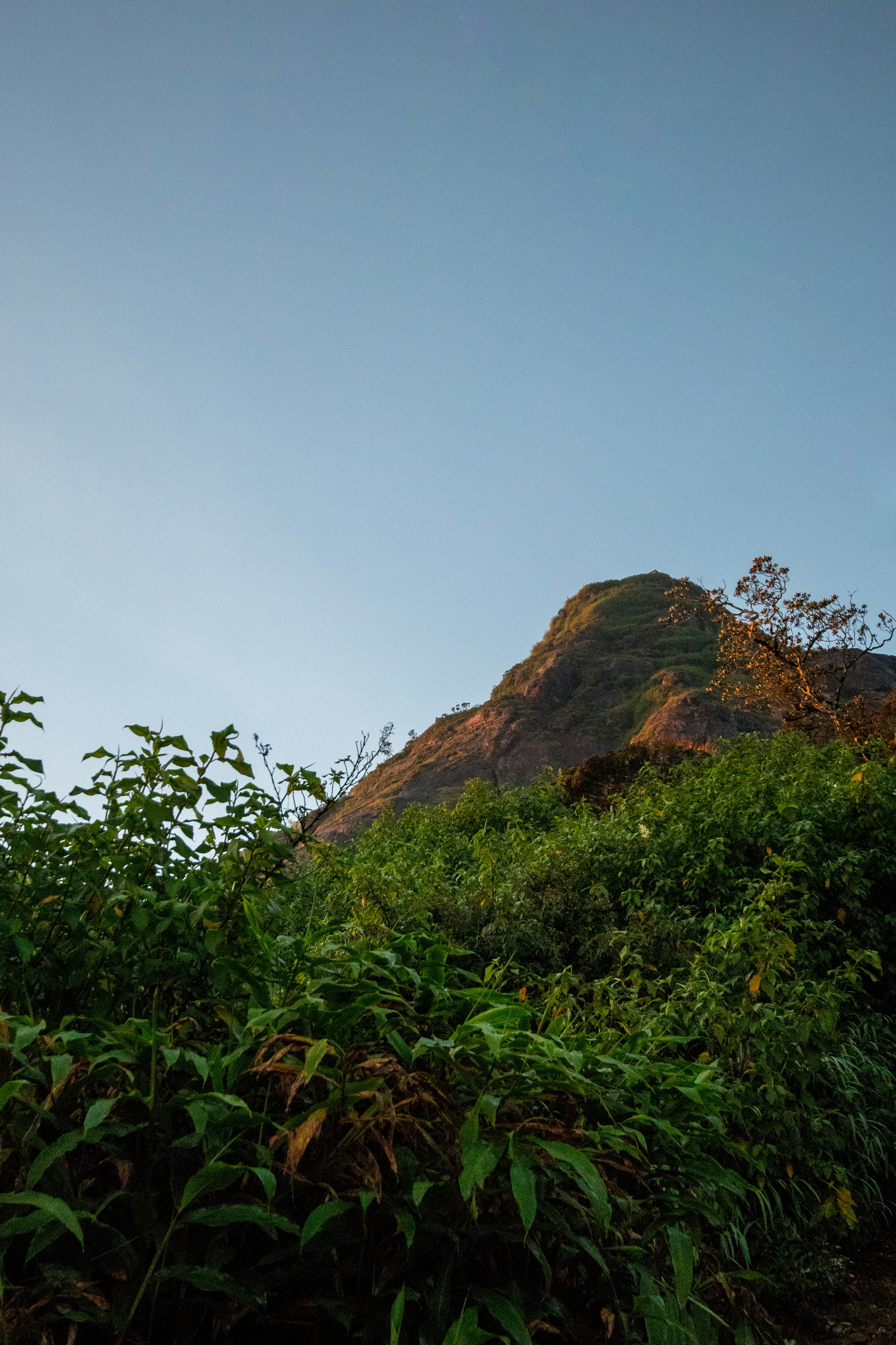 Sunlit Summit Emerges Over Verdant Slopes